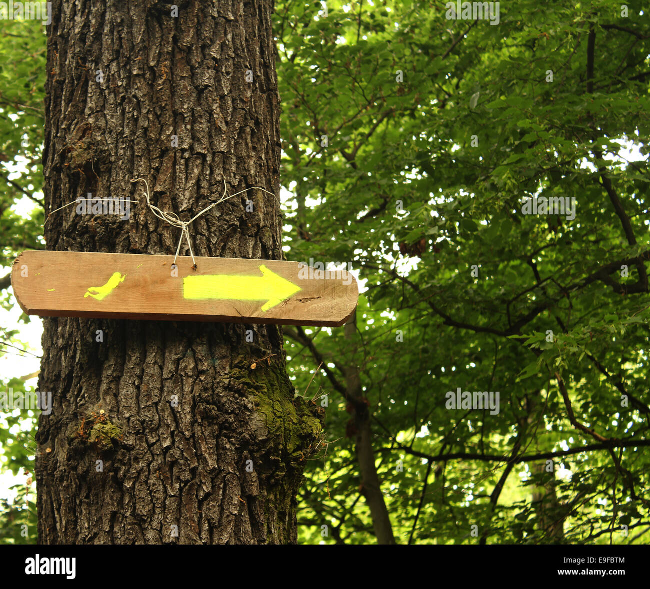 Blank arrow sgin Stock Photo - Alamy
