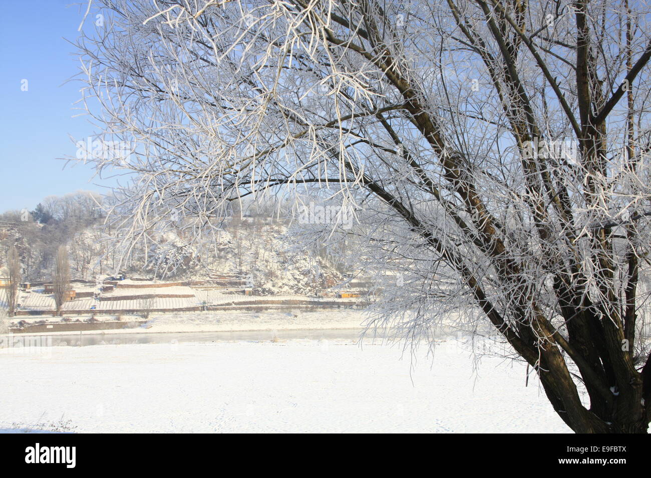 Hoar frost hi-res stock photography and images - Alamy
