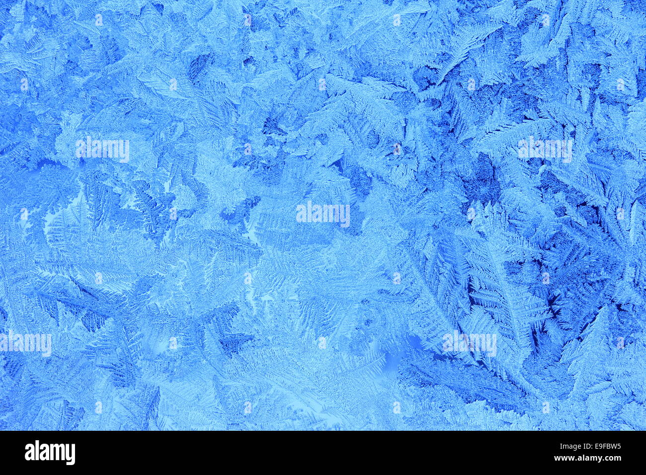 Frost flowers hi-res stock photography and images - Alamy