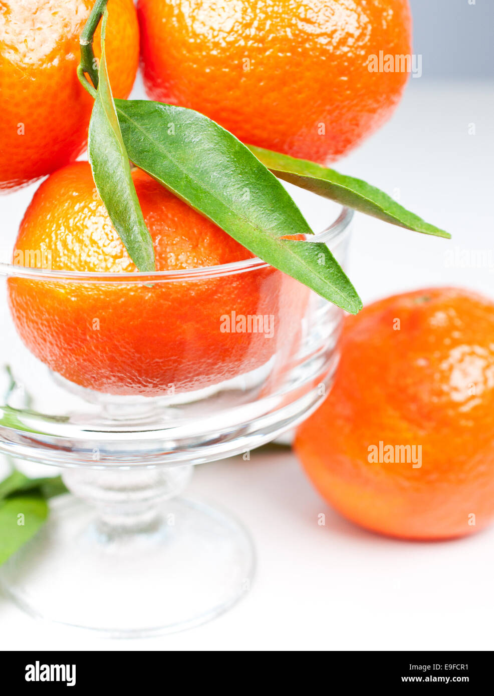 Tangerines close up Stock Photo - Alamy