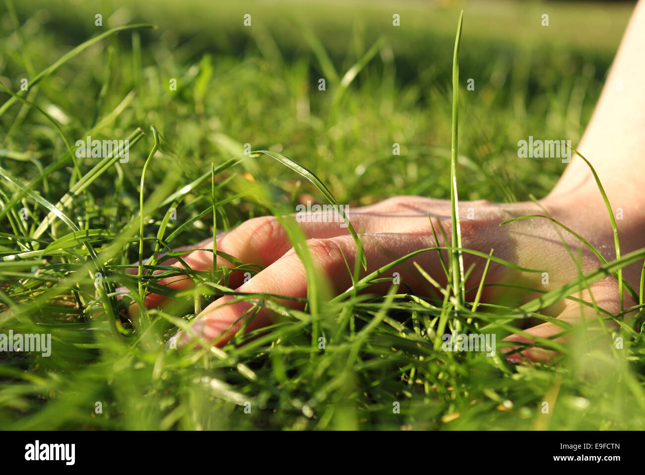Hand and green gras Stock Photo - Alamy