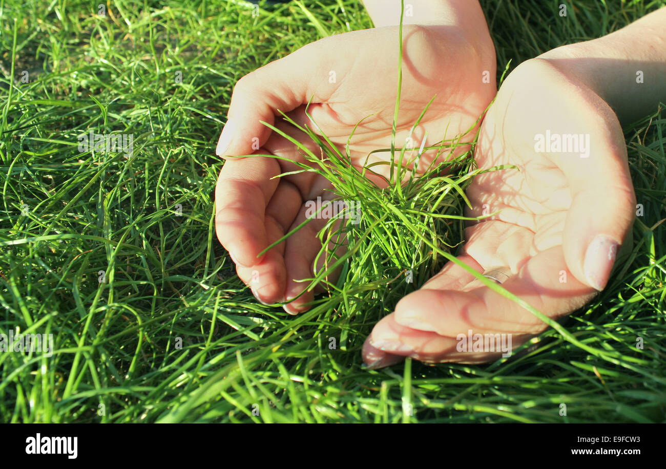 Human hands hold earth growing hi-res stock photography and images - Alamy