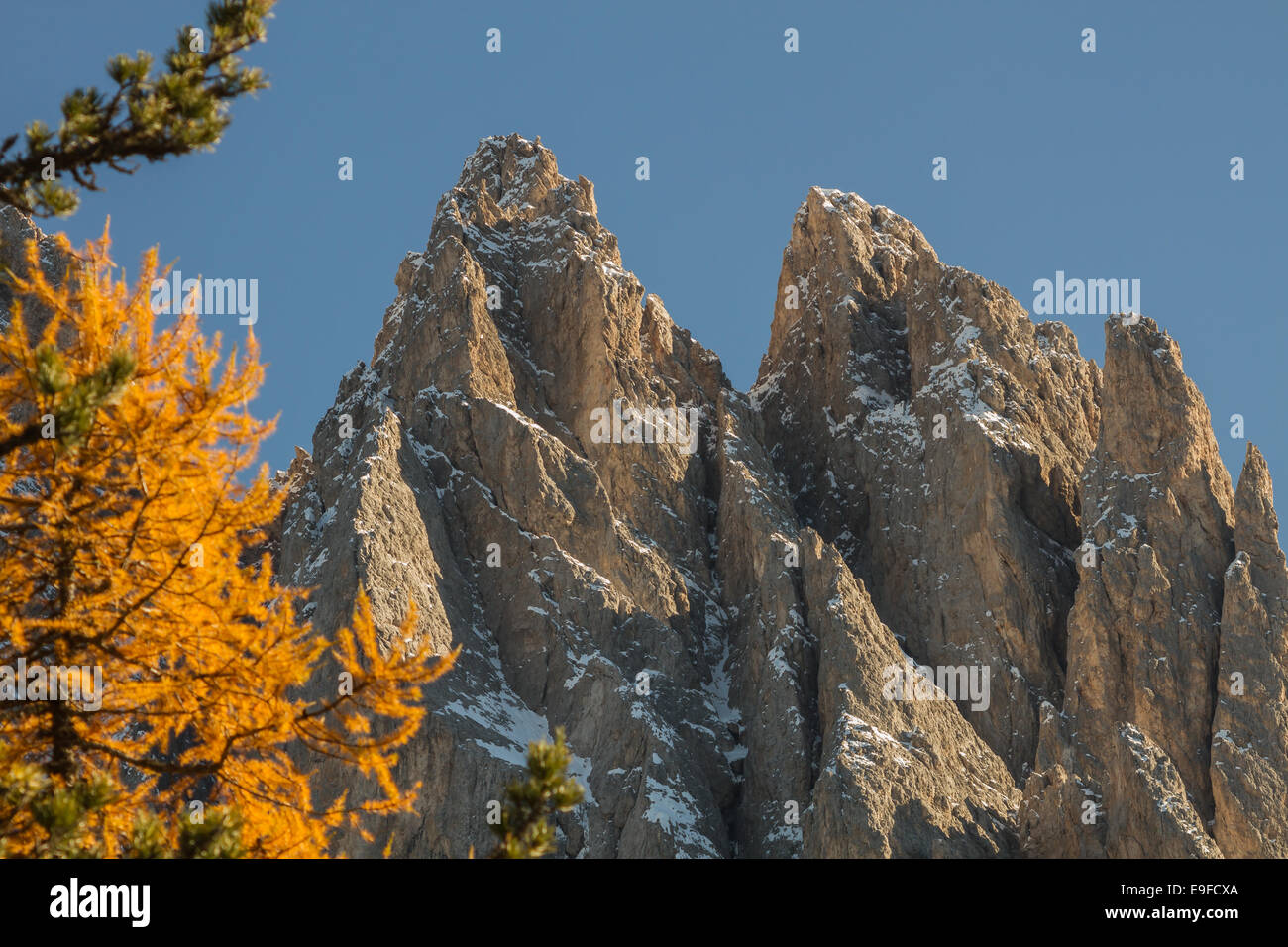 Detail of the geisler peaks in autumn sun Stock Photo - Alamy
