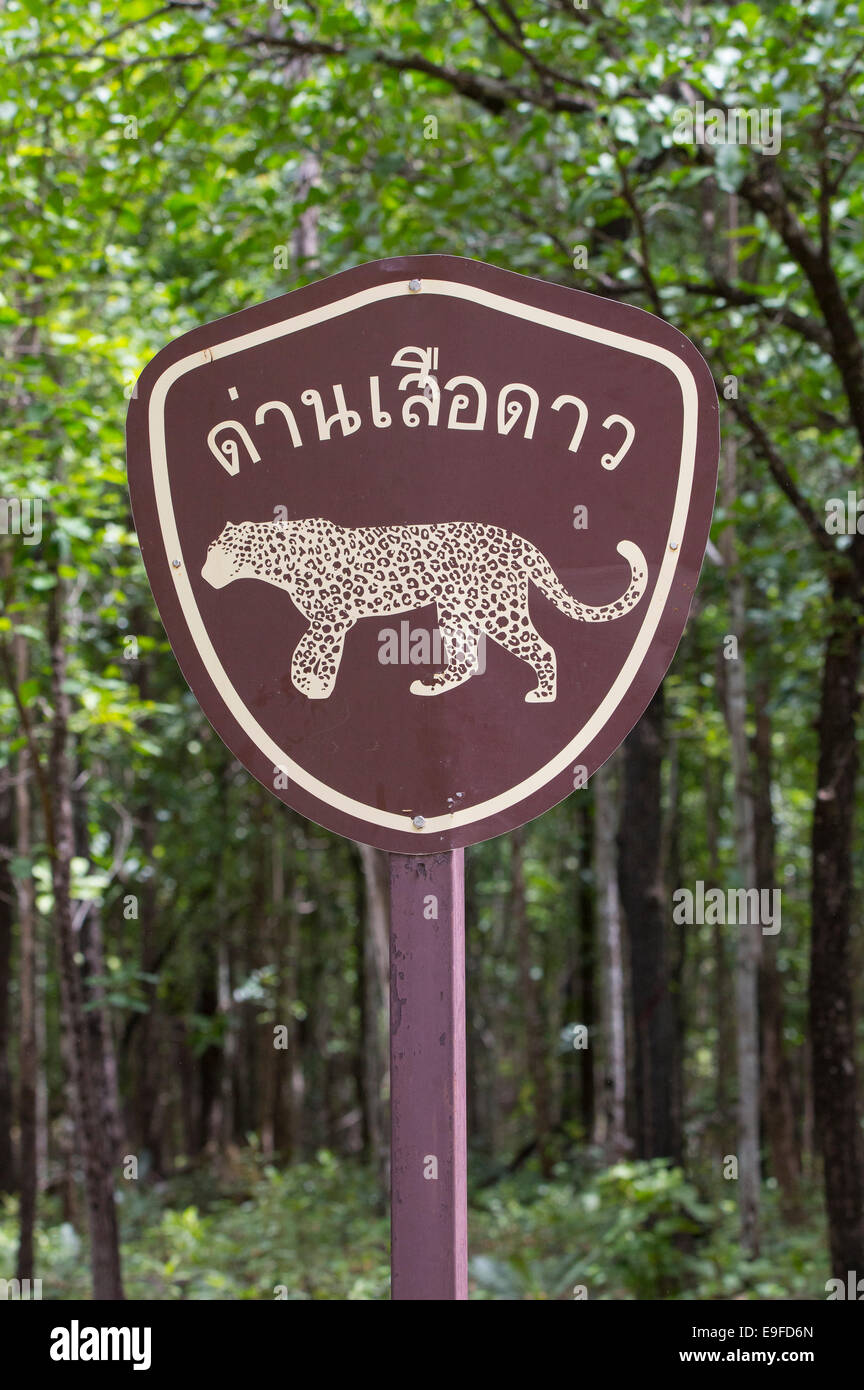 Leopard Sign High Resolution Stock Photography and Images - Alamy