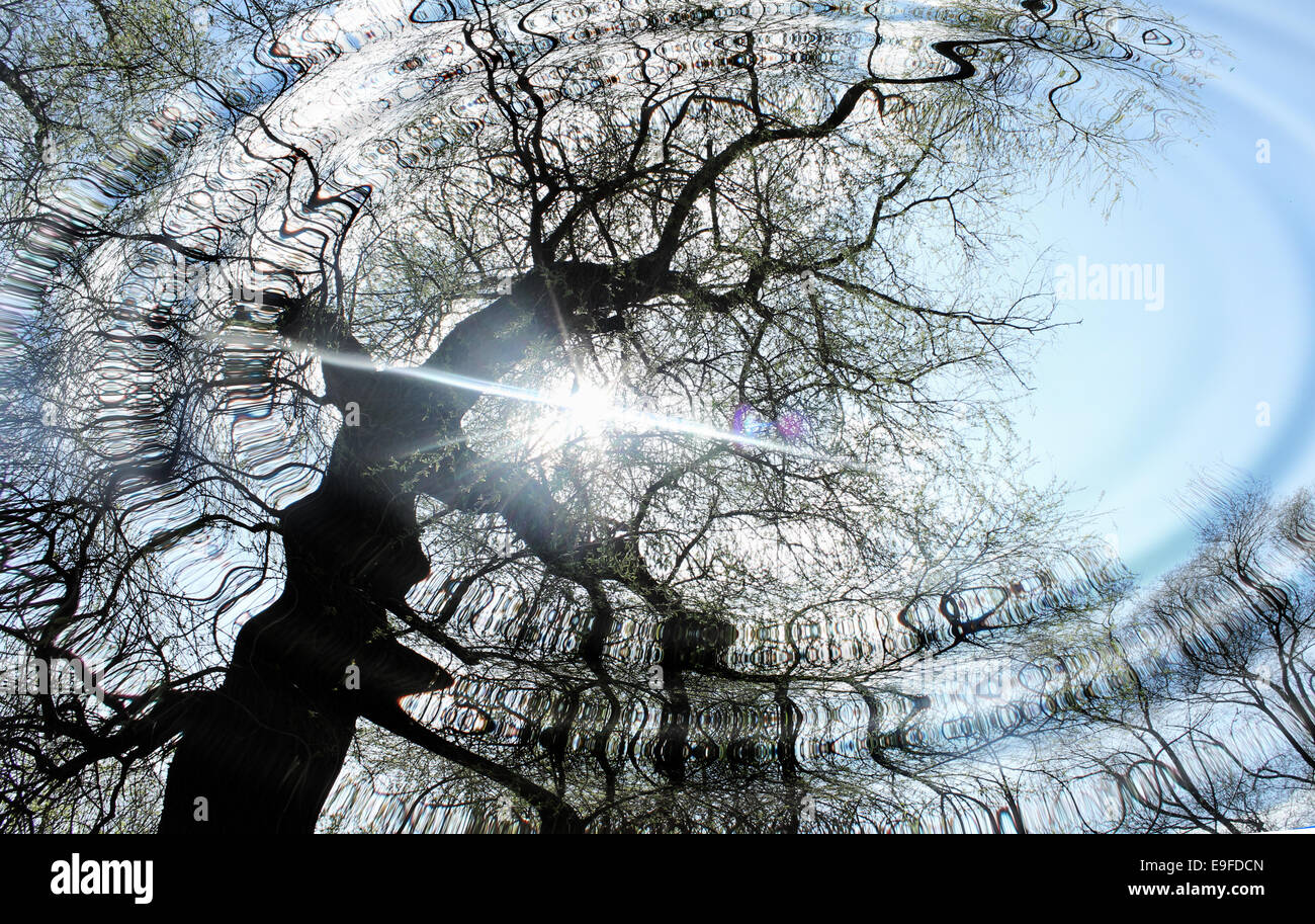 Reflections with ripples in water Stock Photo - Alamy