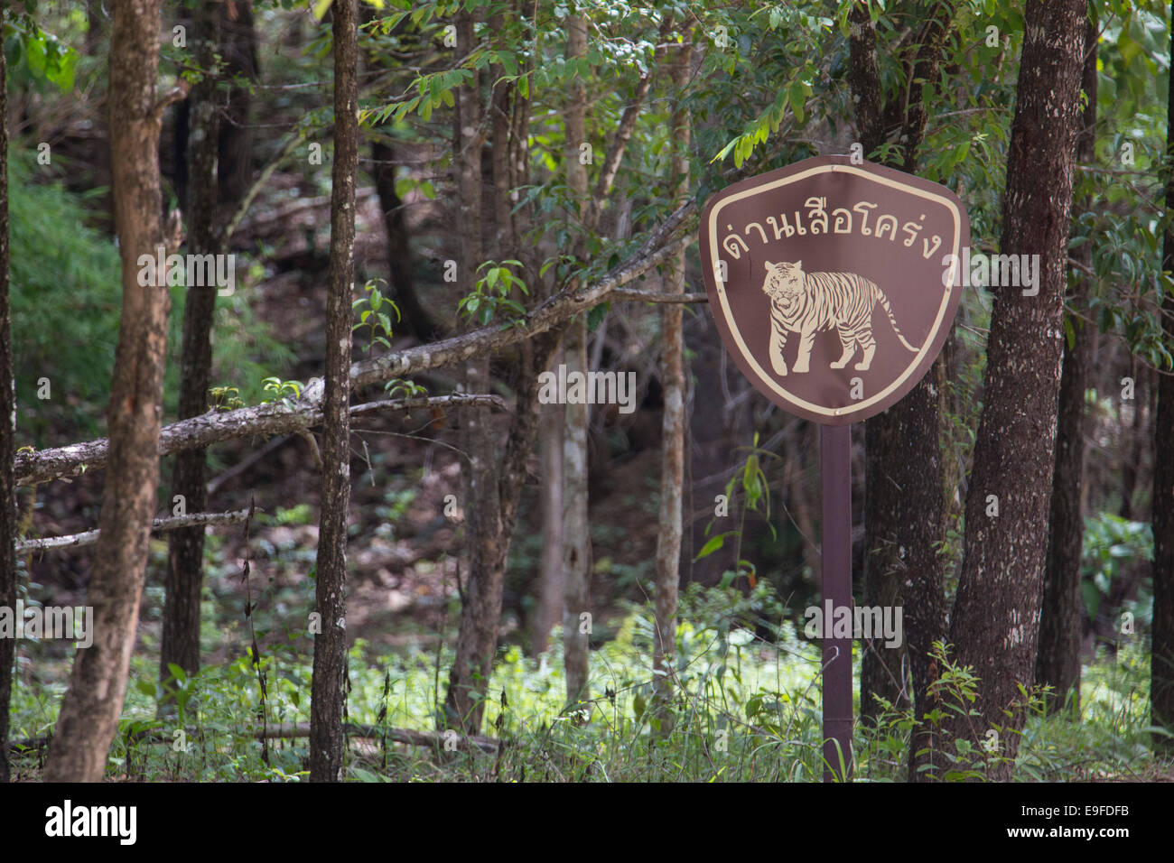 Tiger! warning sign hi-res stock photography and images - Alamy