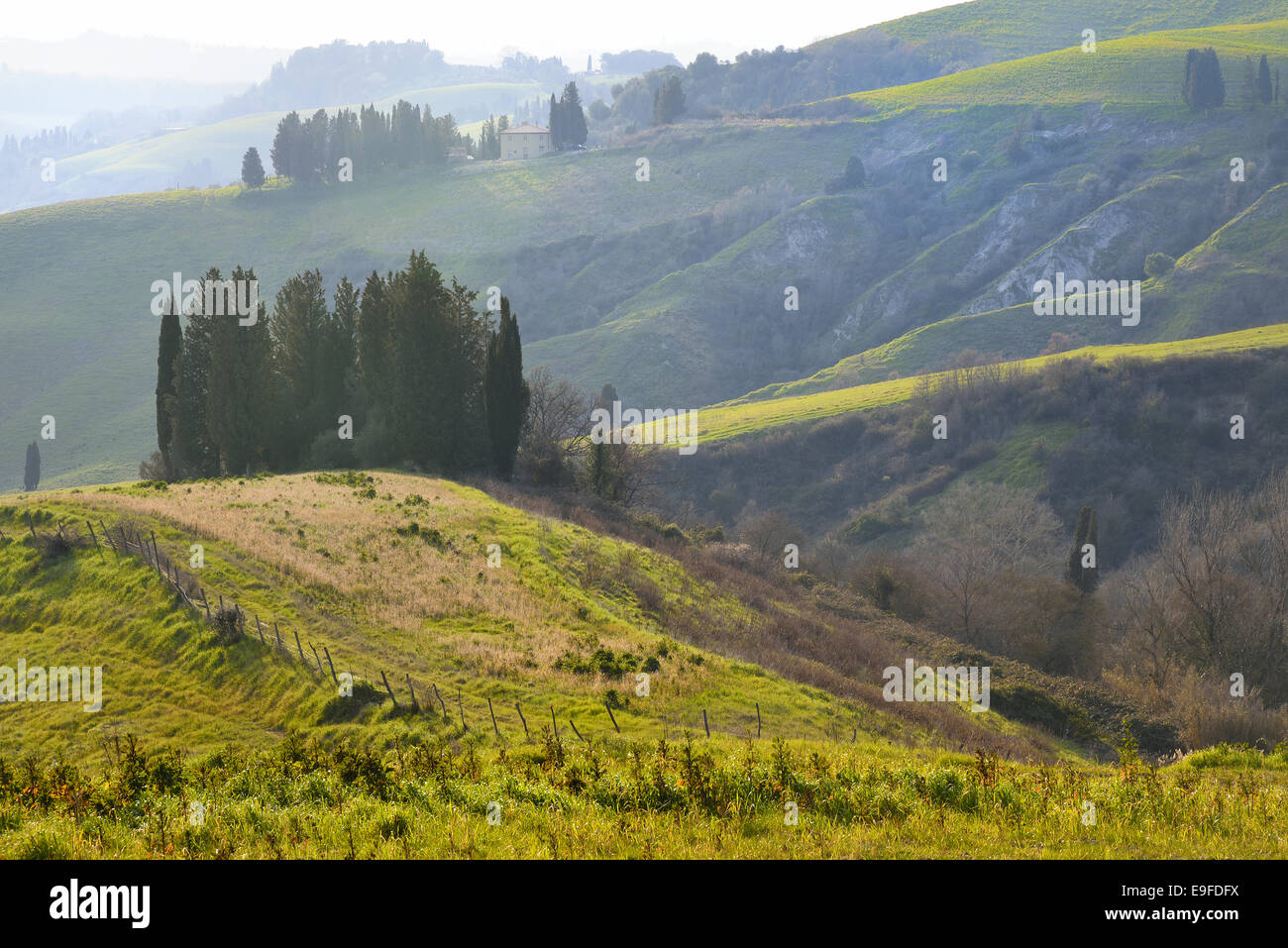 Peaceful tuscan landscape hi-res stock photography and images - Alamy