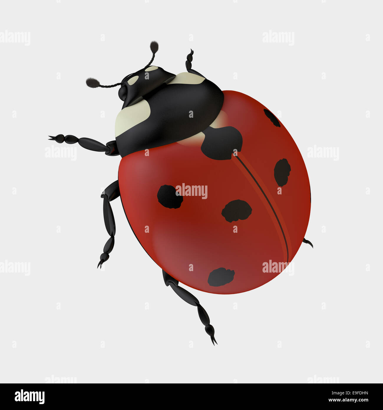 Entomologist ladybug hi-res stock photography and images - Alamy