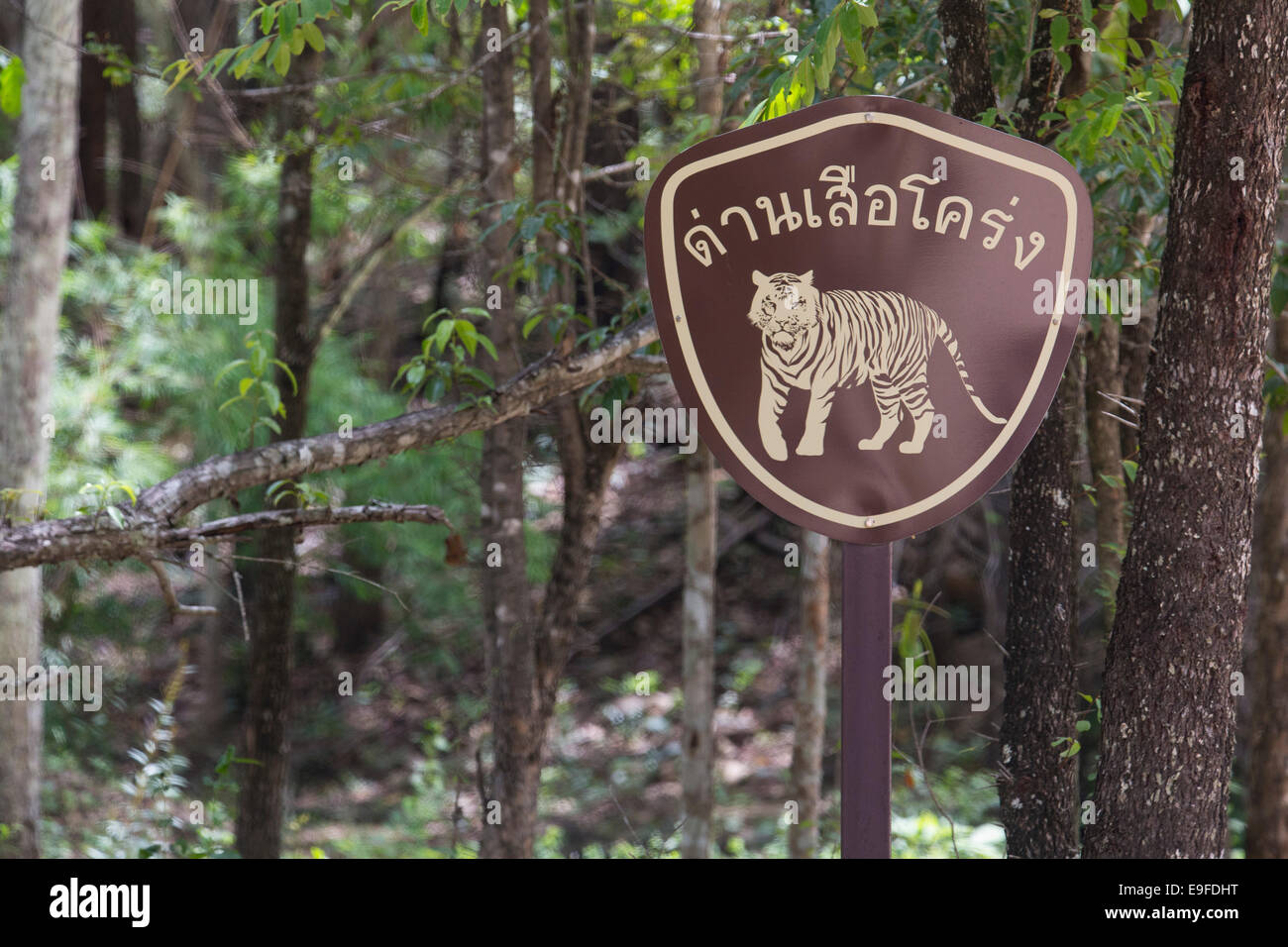 Tiger! warning sign hi-res stock photography and images - Alamy