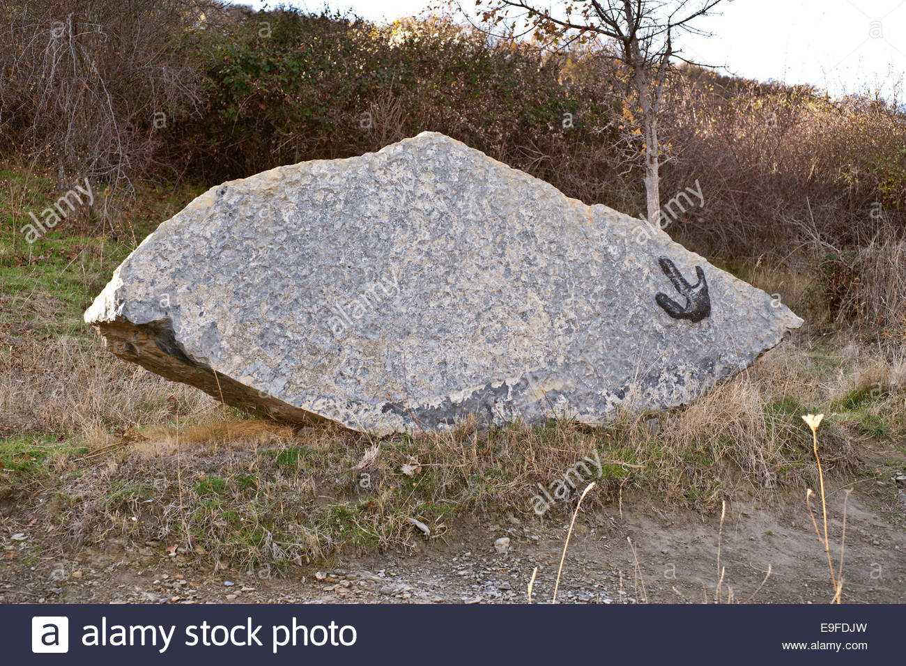 Trace Fossil Stock Photos & Trace Fossil Stock Images - Alamy