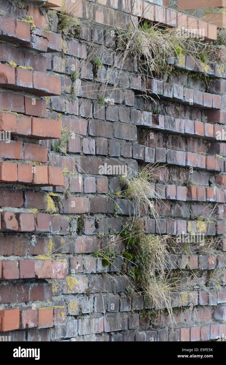 Stonework grass hi-res stock photography and images - Alamy