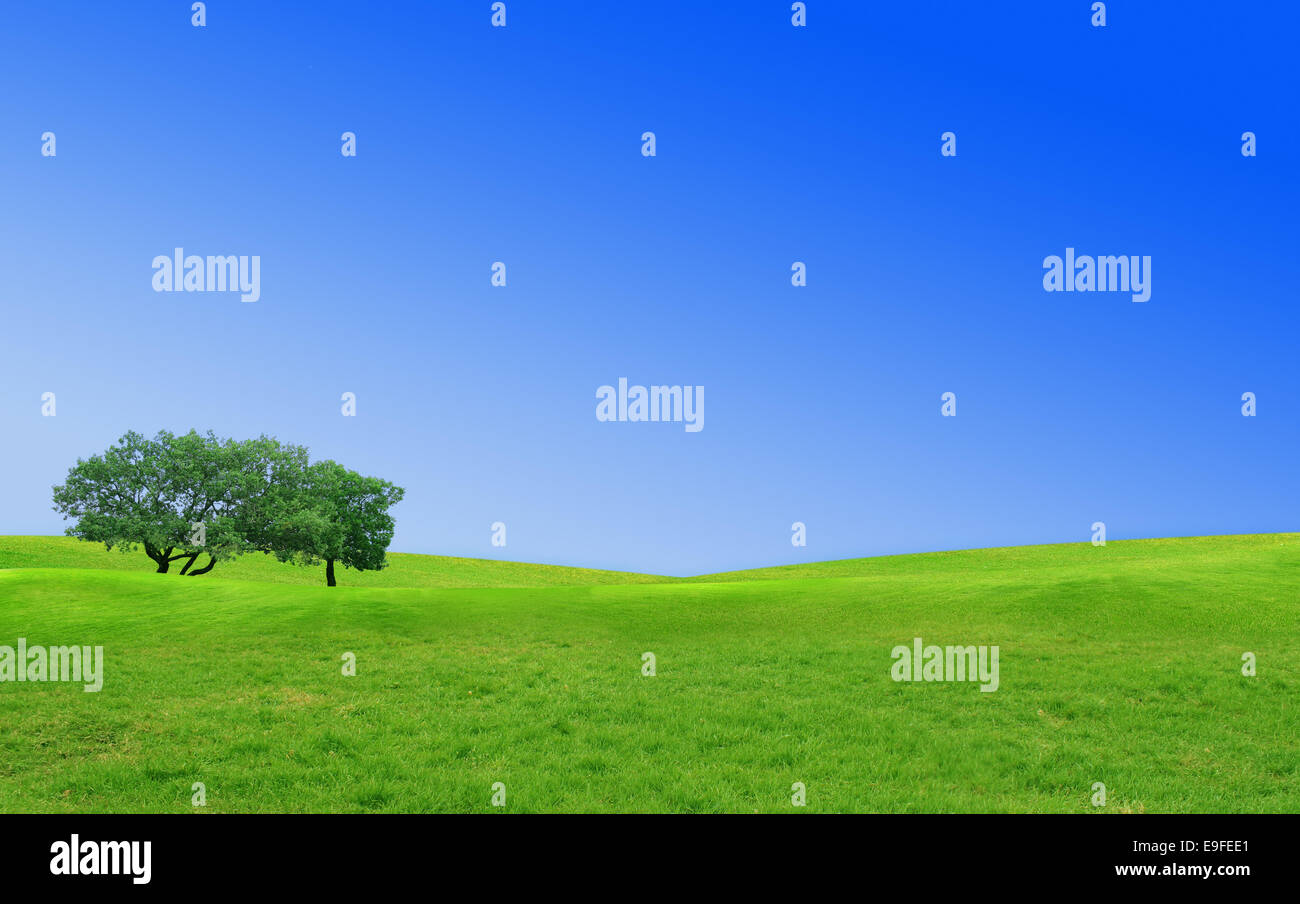 Green nature landscape Stock Photo - Alamy