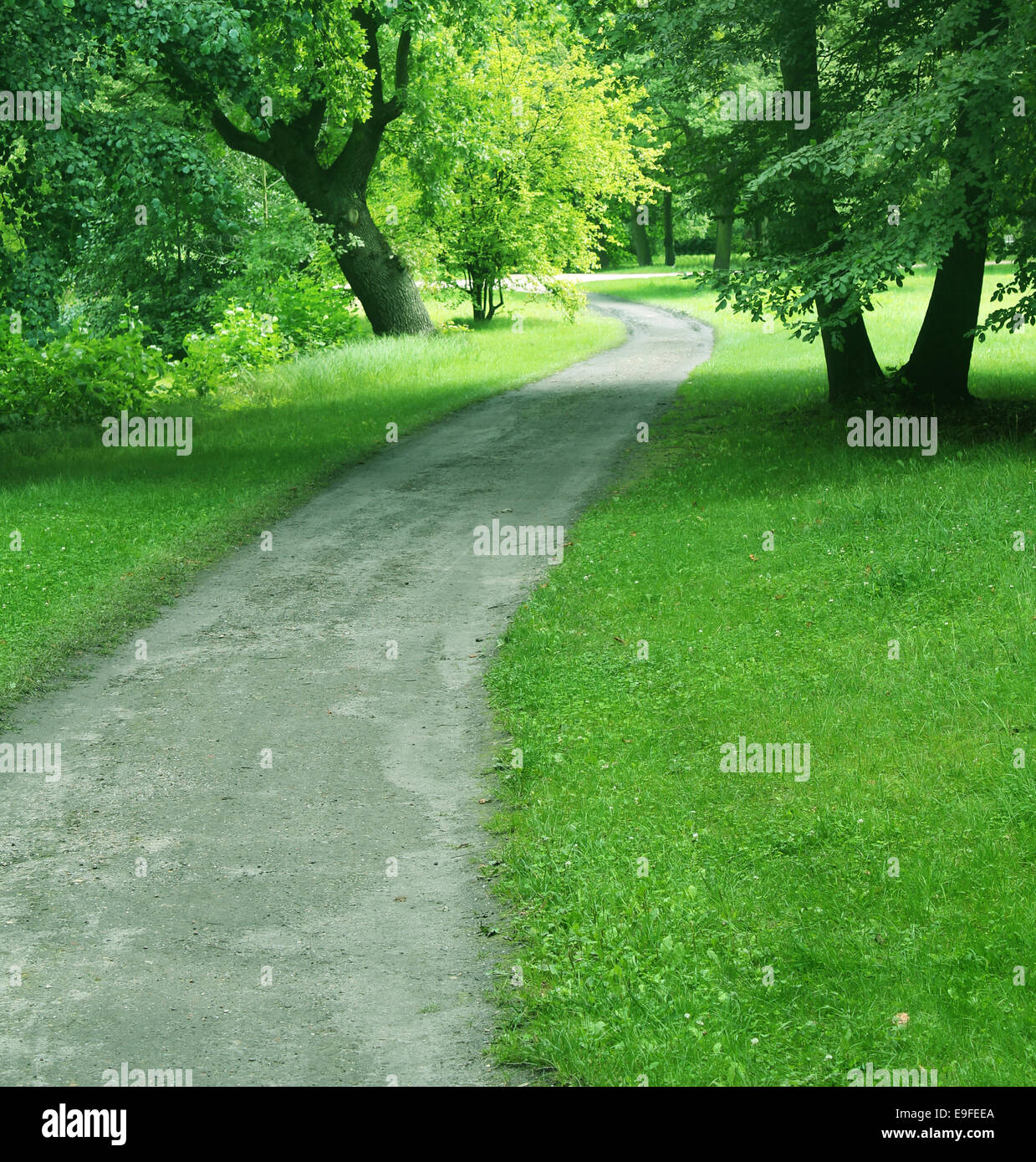 landscape by sunlight Stock Photo - Alamy