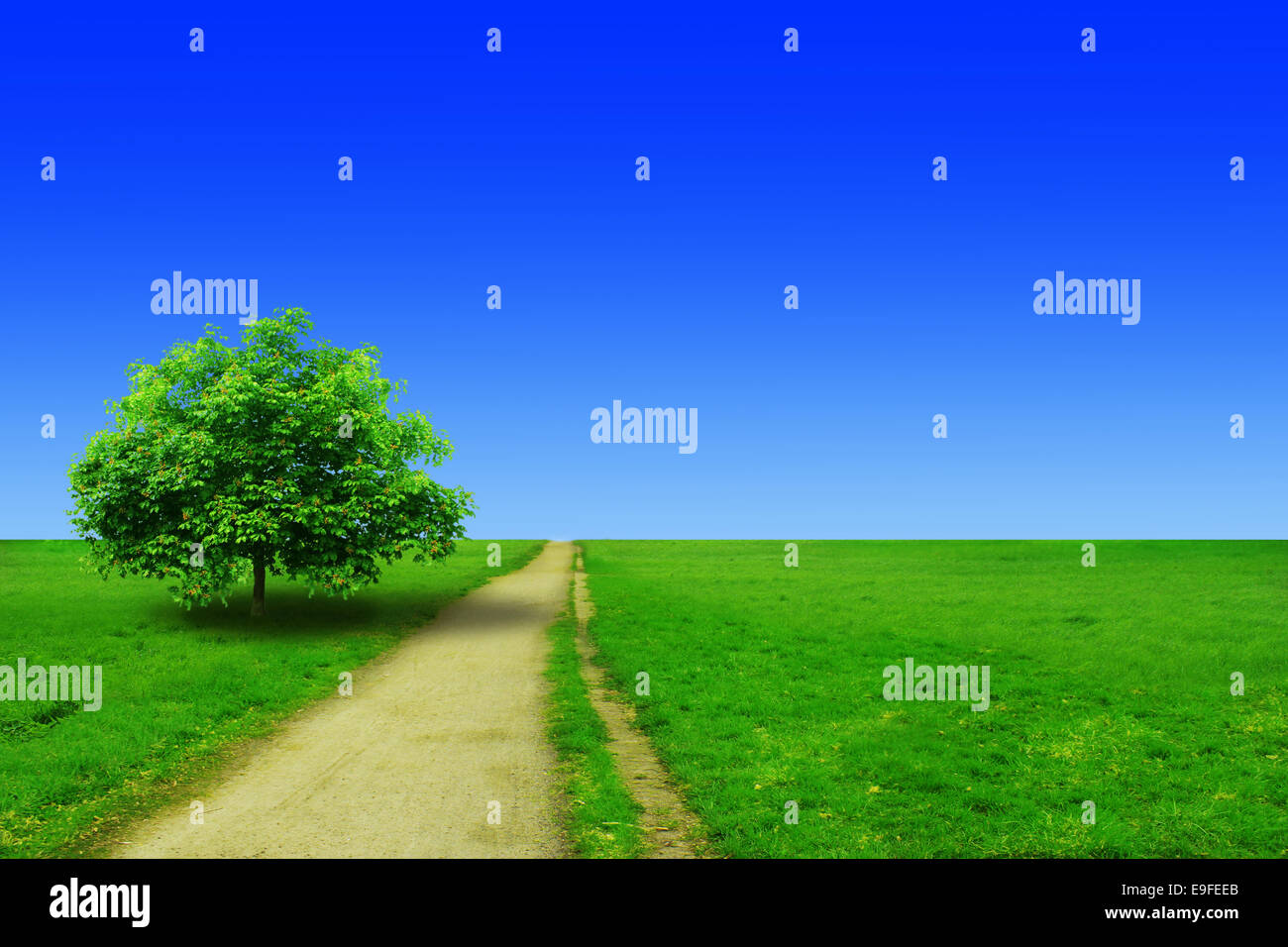 Green nature landscape Stock Photo - Alamy
