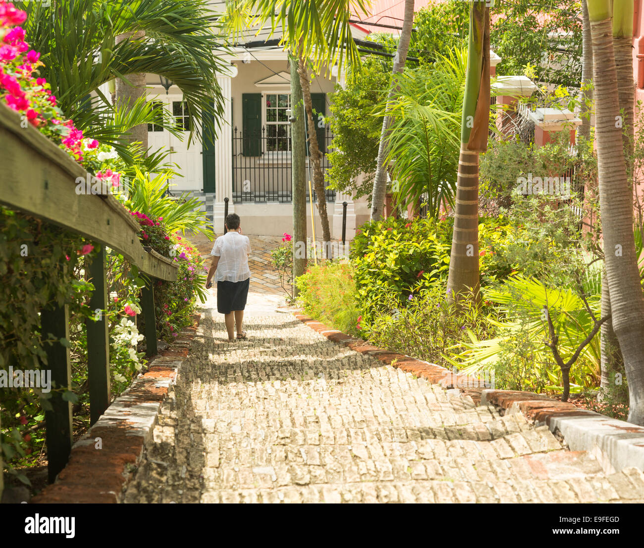 Famous 99 steps Charlotte Amalie Stock Photo - Alamy