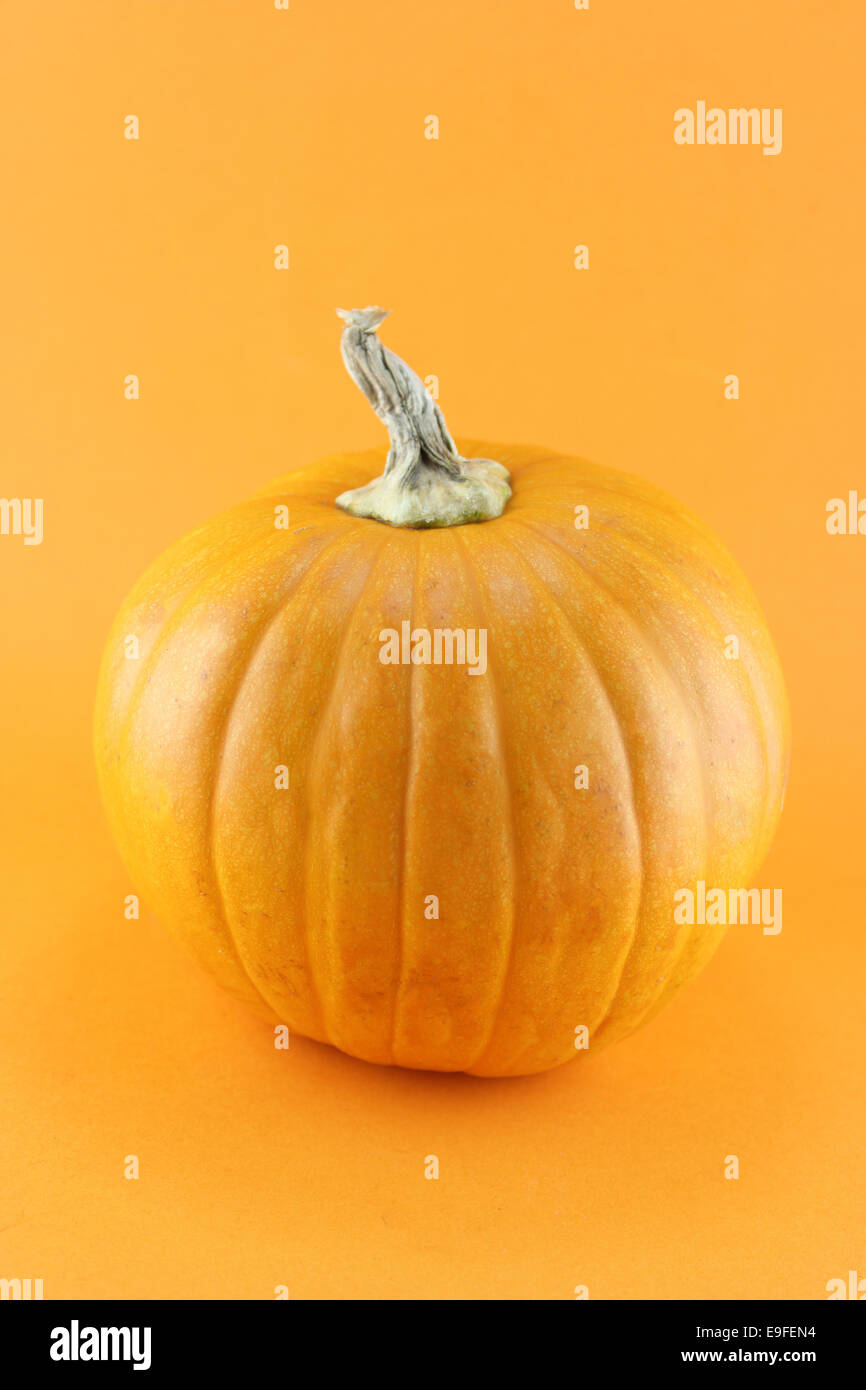 Pumpkin ripe gourd fall Cut Out Stock Images & Pictures - Alamy