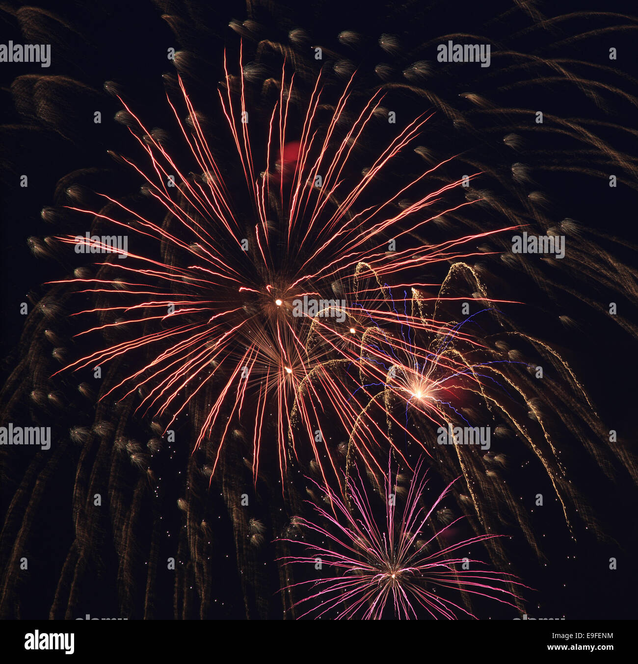 Beautiful fireworks in the night sky Stock Photo - Alamy