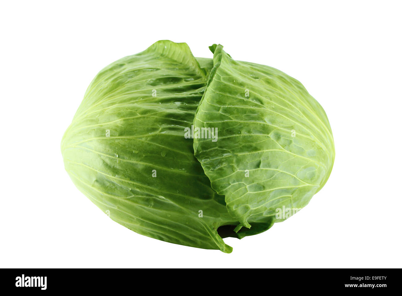 fresh green cabbage Stock Photo - Alamy