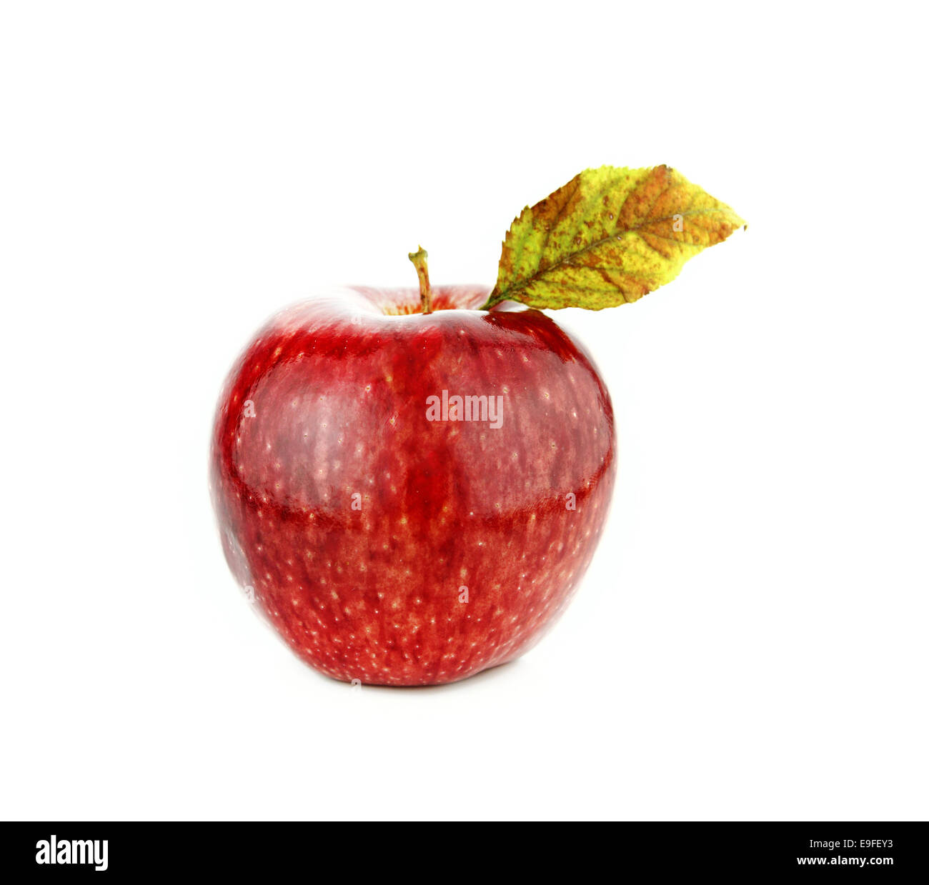 Fresh red apple Stock Photo - Alamy