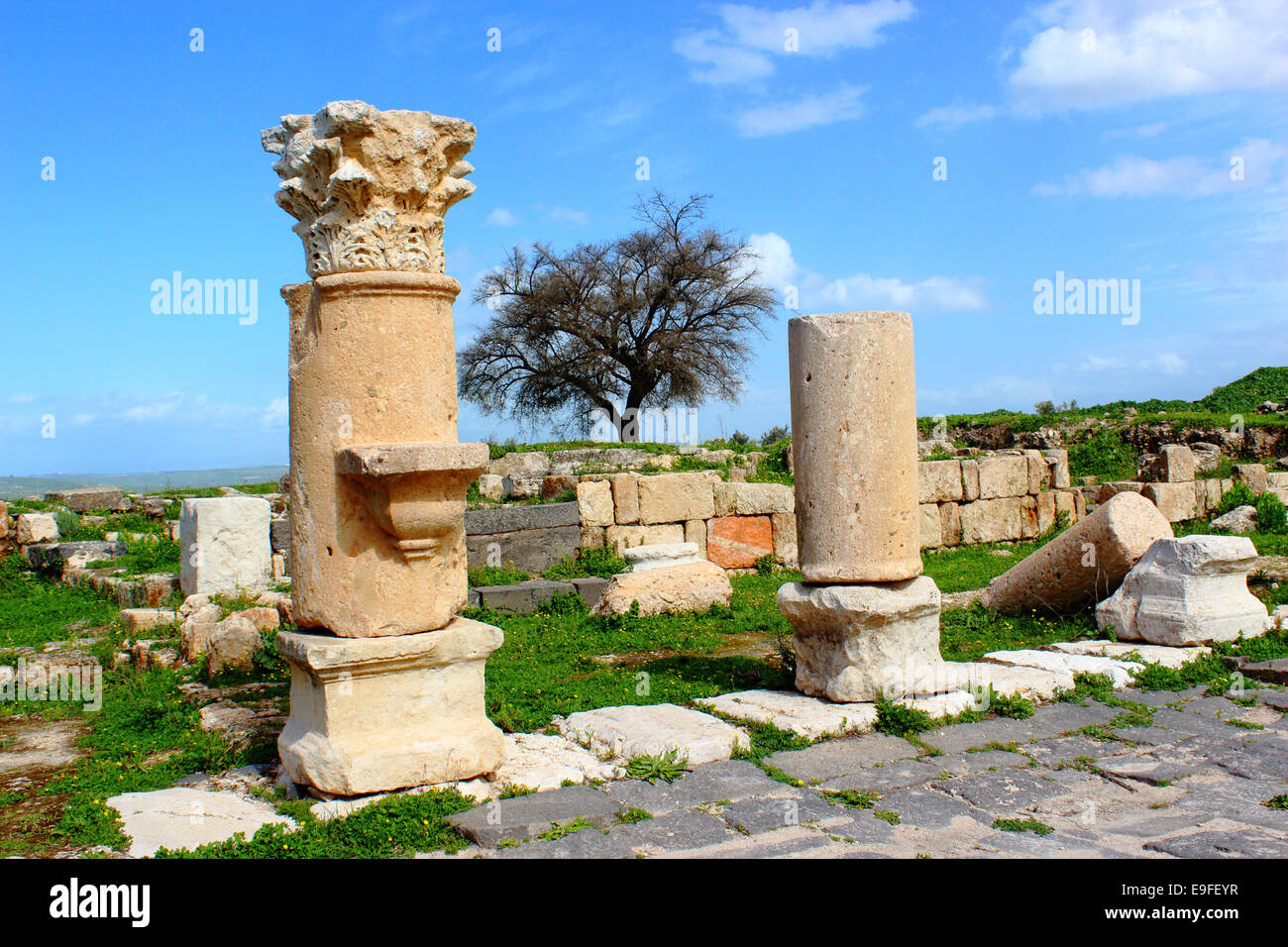 Umm city hi-res stock photography and images - Alamy