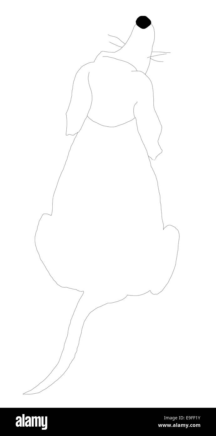 Line art dog cartoon Cut Out Stock Images & Pictures - Alamy