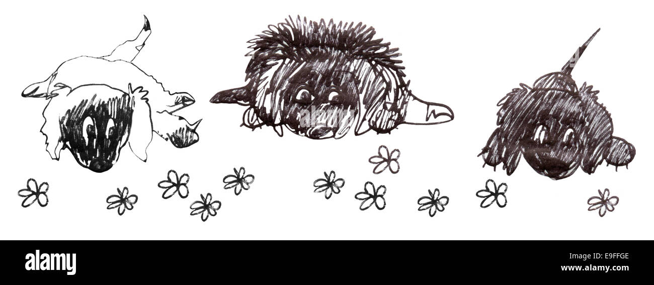 Three dogs, down on the floor, waiting. Cartoon sketch in black and ...