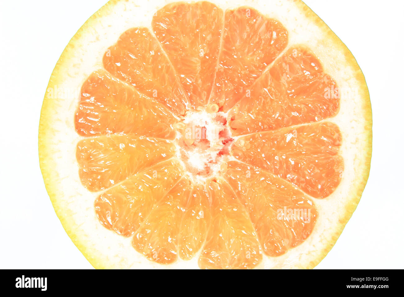 Grapefruit citrus x paradisi fruit hi-res stock photography and images ...