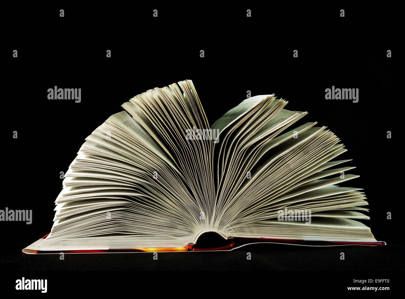 Bible Spine High Resolution Stock Photography and Images - Alamy