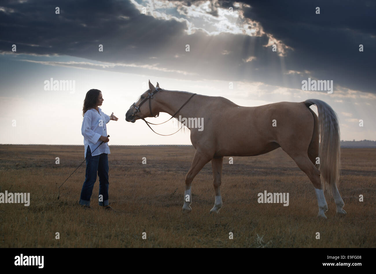Horse trainer hi-res stock photography and images - Alamy