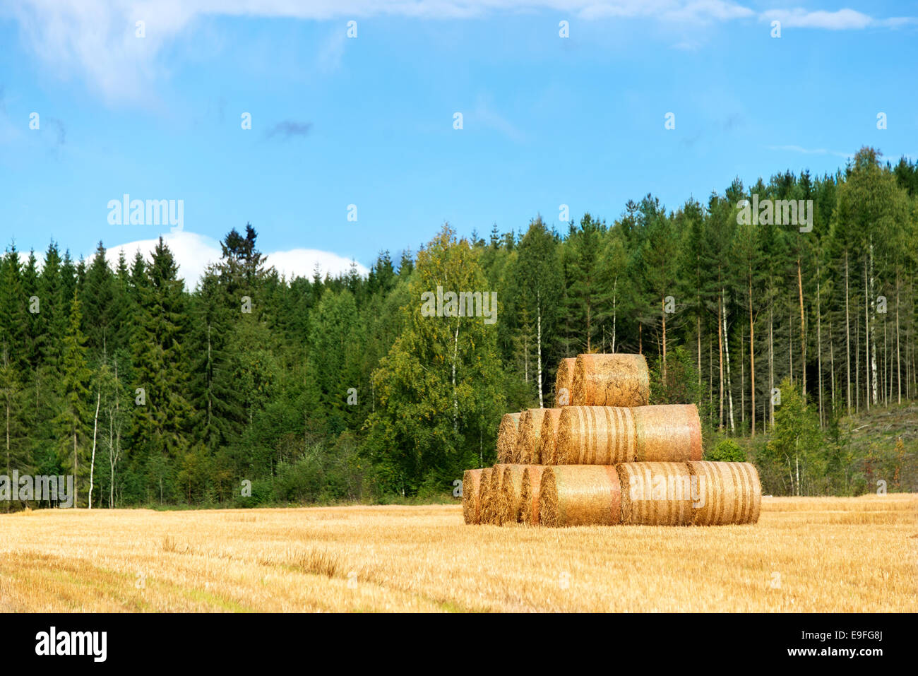 Beautiful landscape field rolls hi-res stock photography and images - Alamy