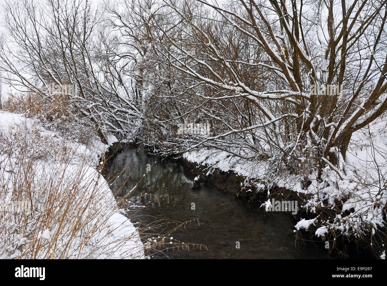 Riverside bushes hi-res stock photography and images - Alamy