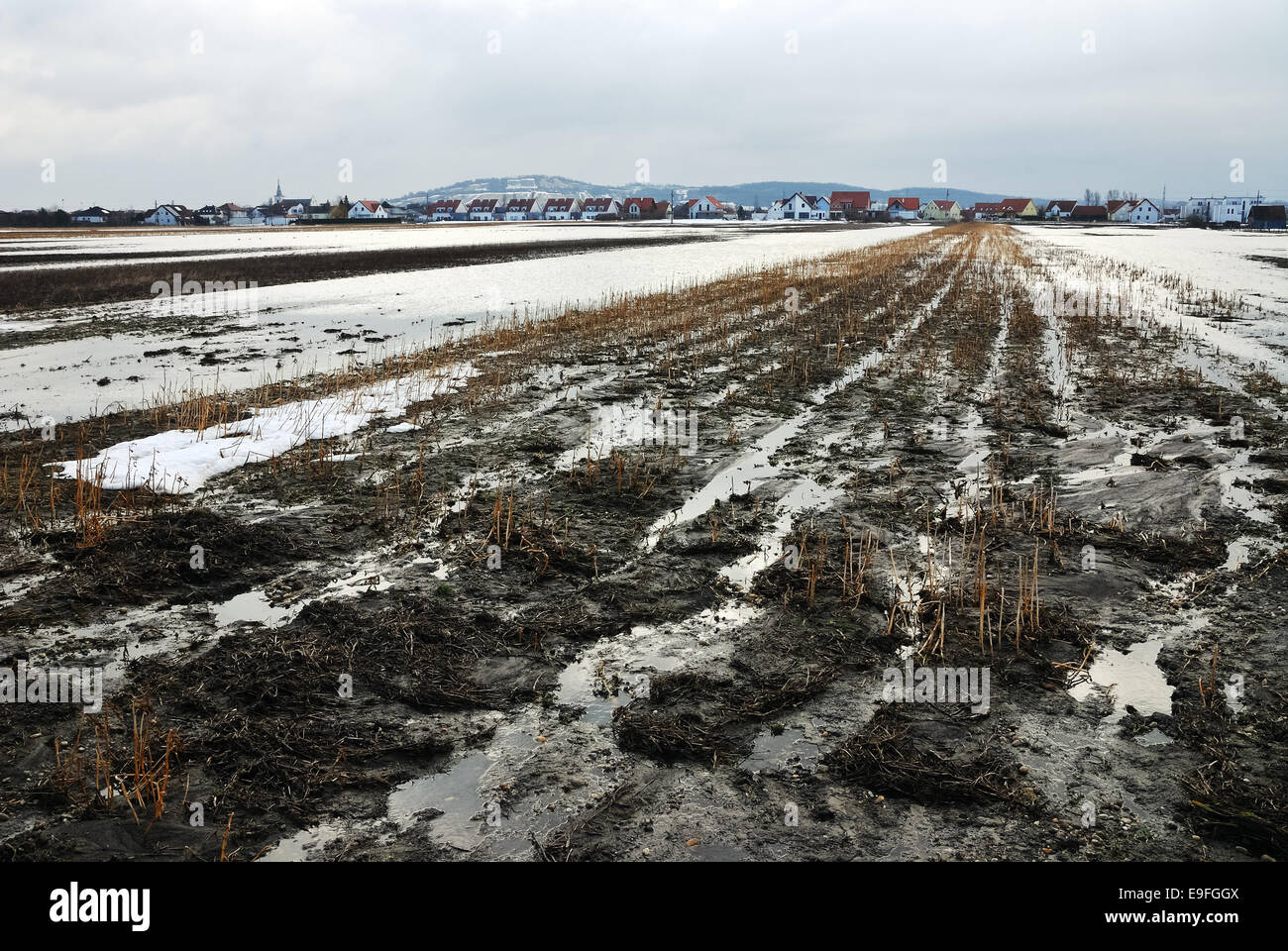 Melting water on the fields Stock Photo - Alamy