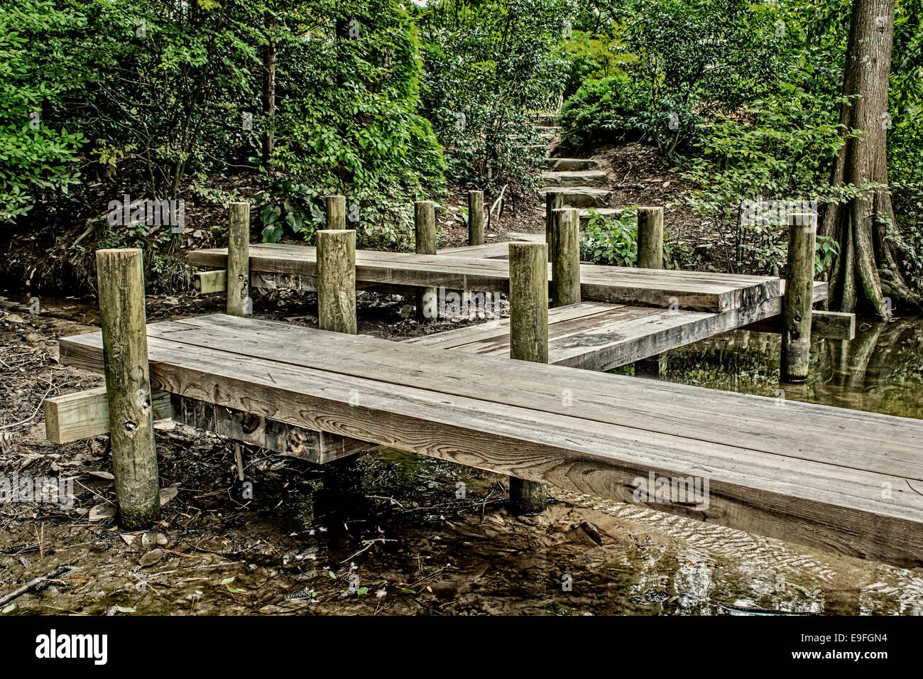 A pier in the woods Stock Photo - Alamy