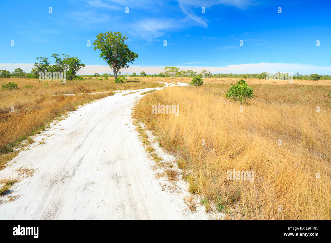 Grass savannah vegetation beautiful hi-res stock photography and images ...