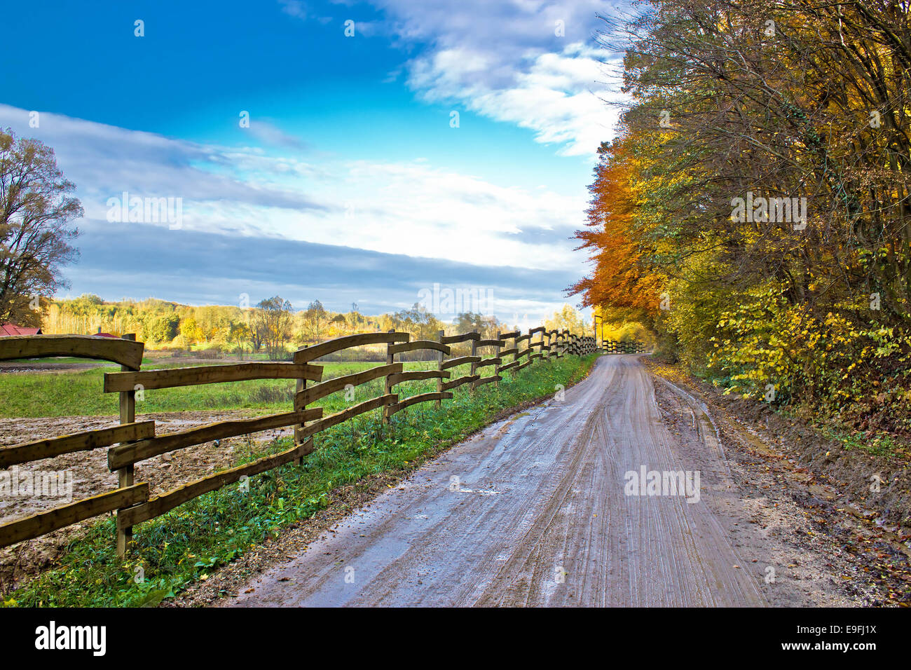 Autumn colorful mountain dirt road Stock Photo - Alamy