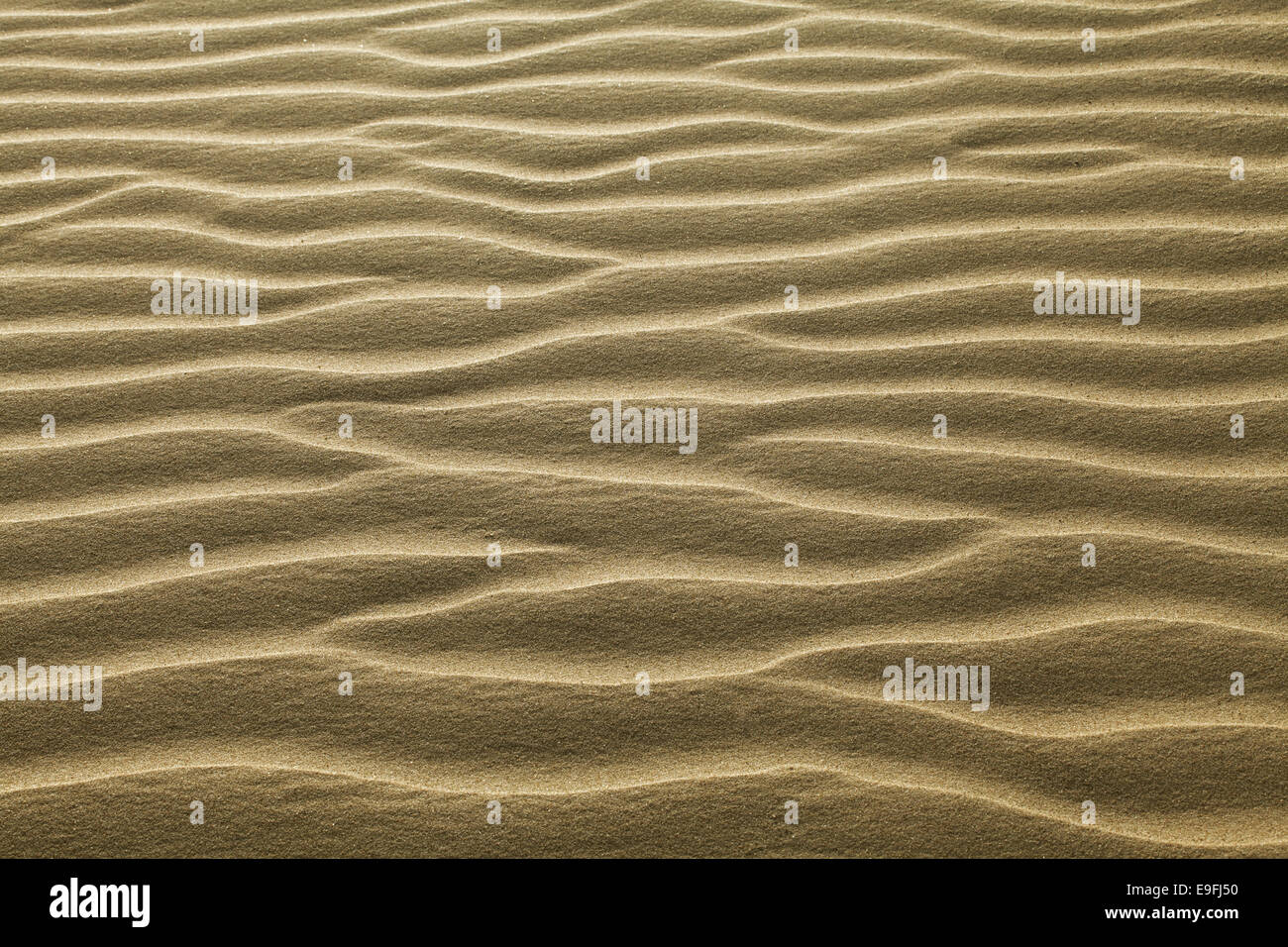 Rippled sand texture hi-res stock photography and images - Alamy