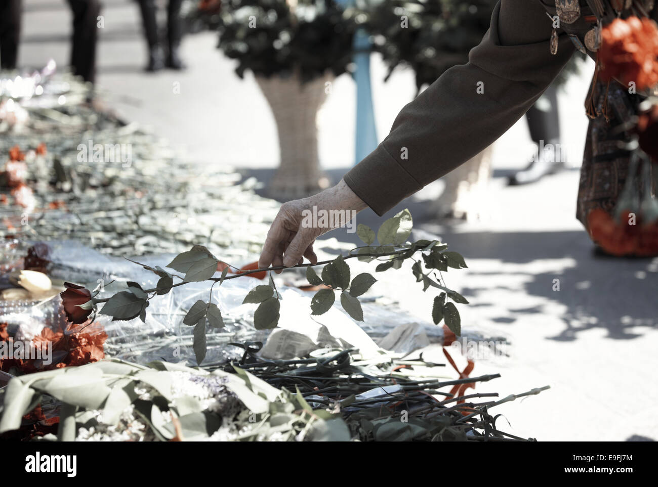 Soviet veteran limb hi-res stock photography and images - Alamy
