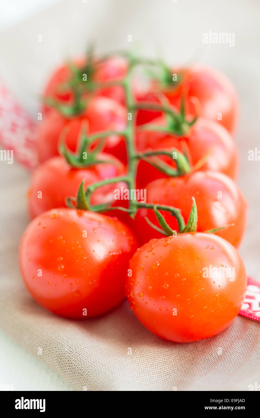 Juicy organic Cherry tomatoes close up Stock Photo - Alamy