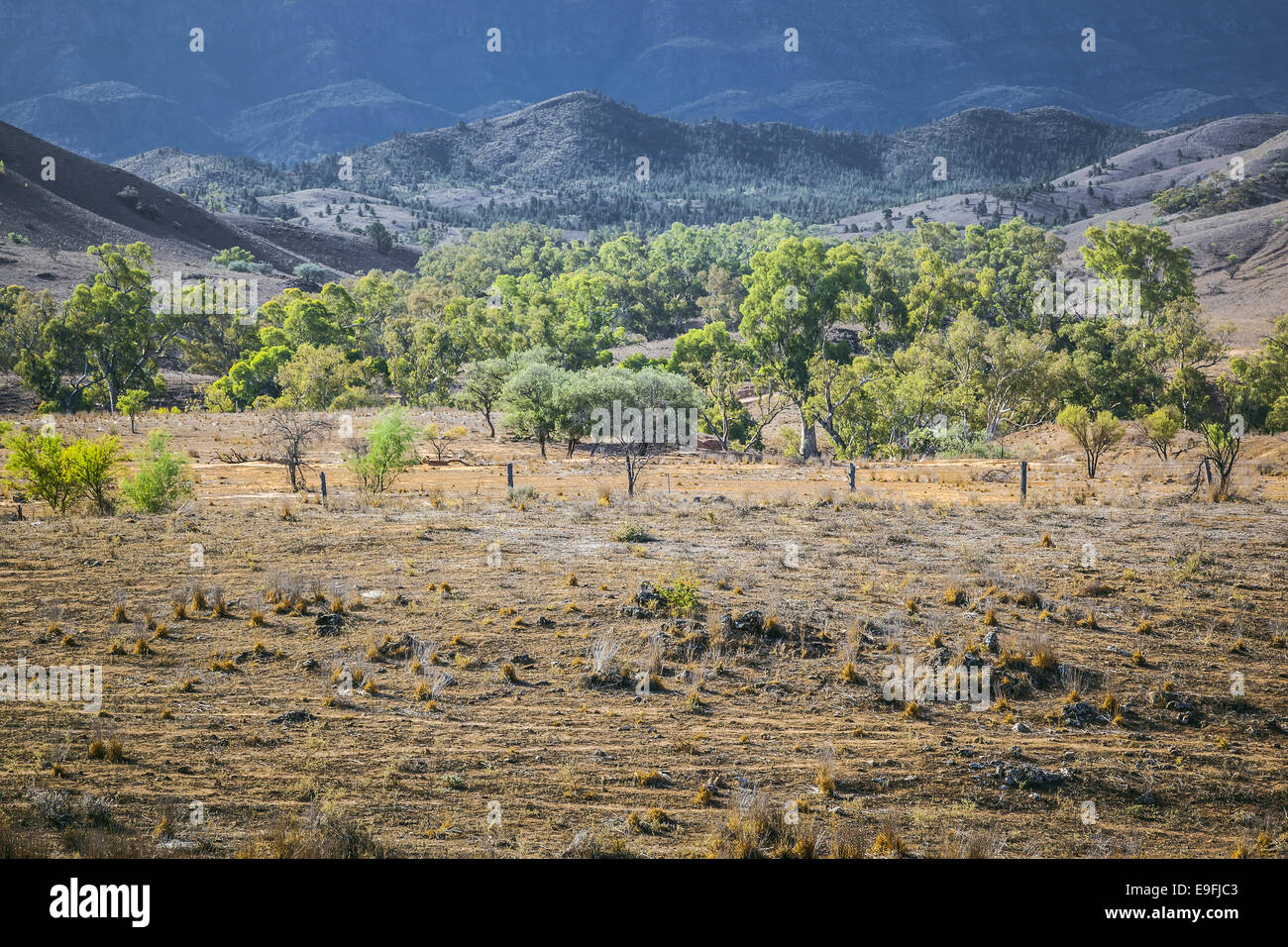 Flinders ranges hi-res stock photography and images - Alamy