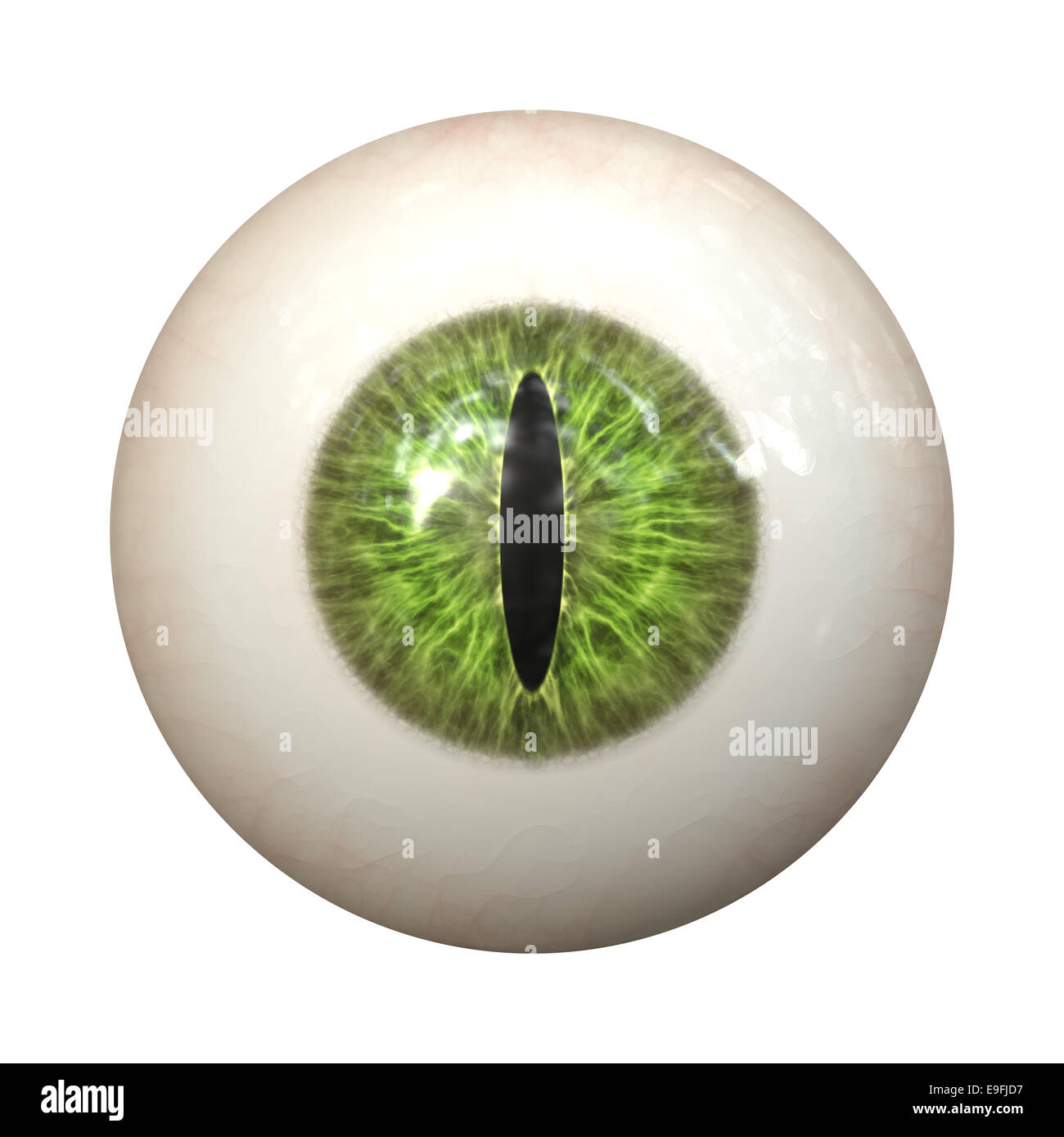 Macro cat eye Cut Out Stock Images & Pictures - Alamy