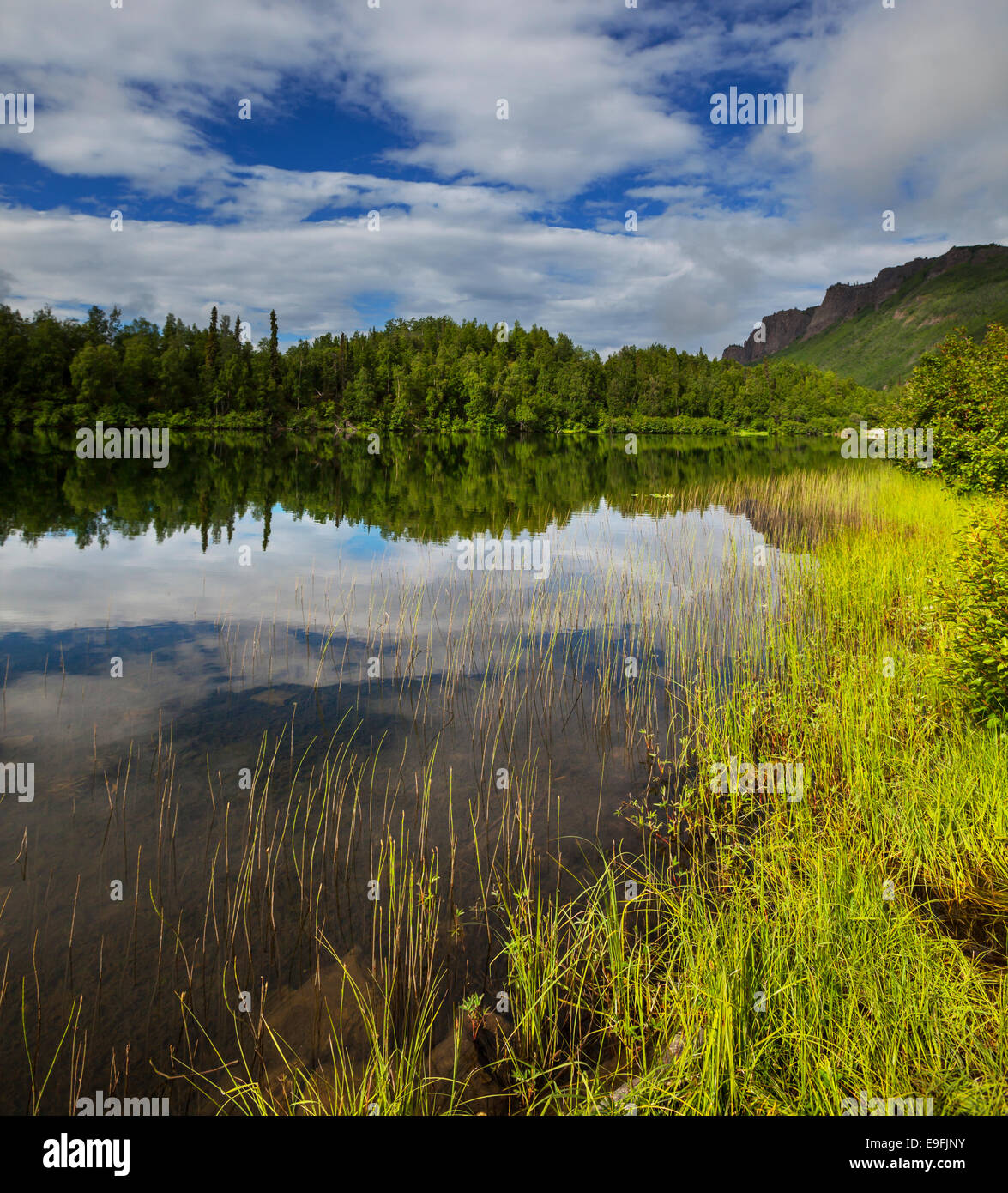 Lake on Alaska Stock Photo - Alamy