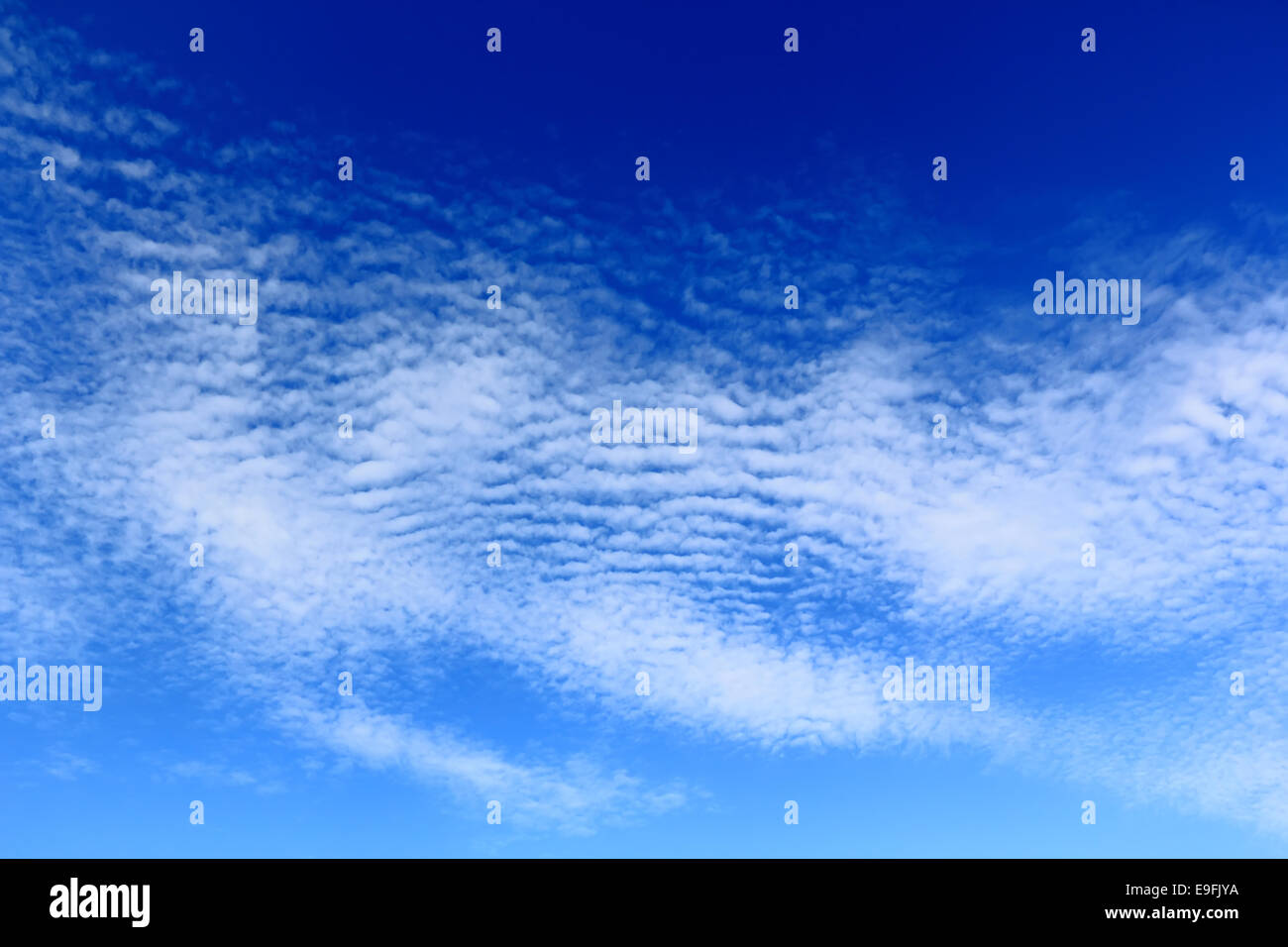 Feathery fluffy hi-res stock photography and images - Alamy