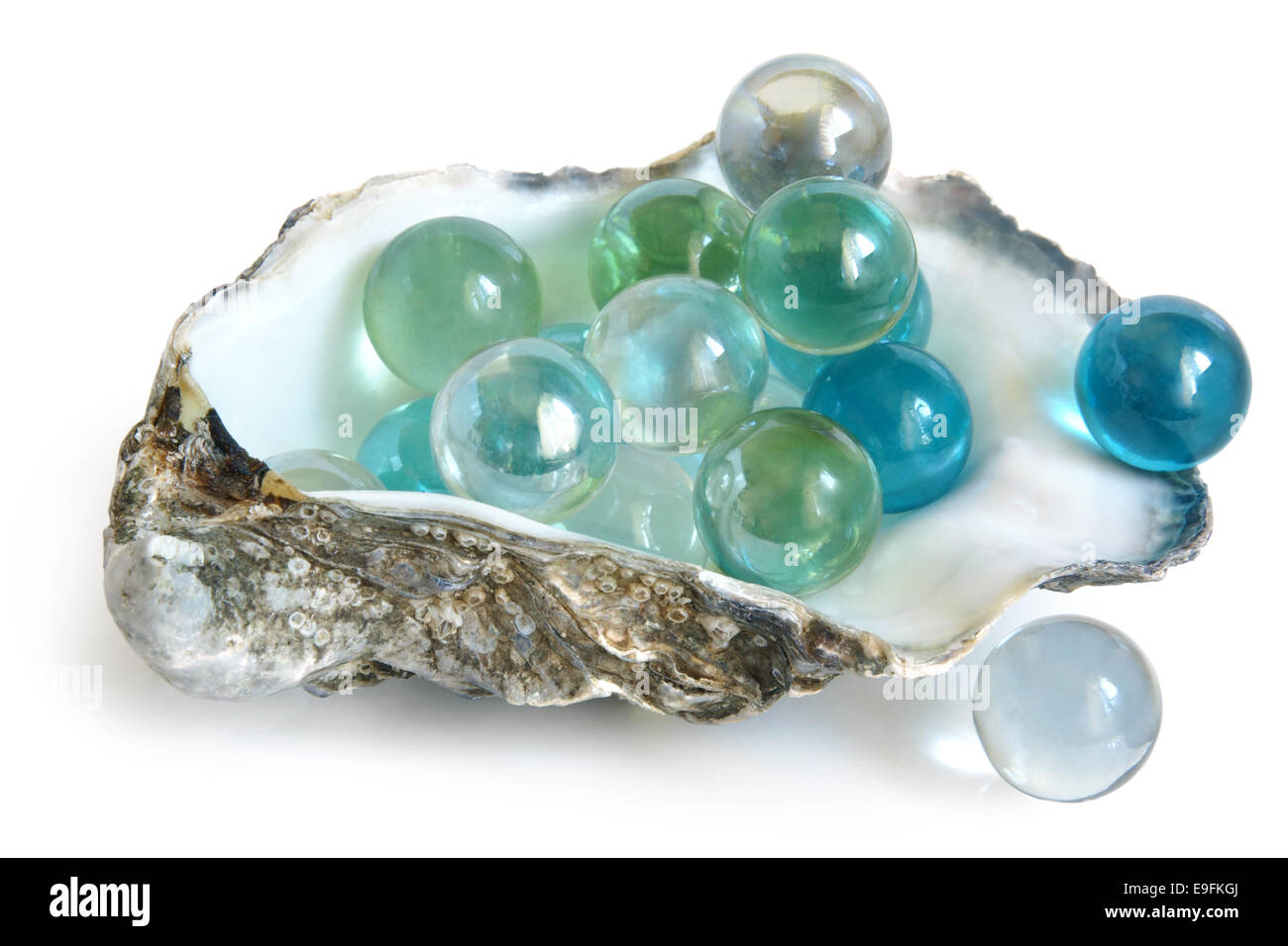 Oyster in shell hi-res stock photography and images - Alamy