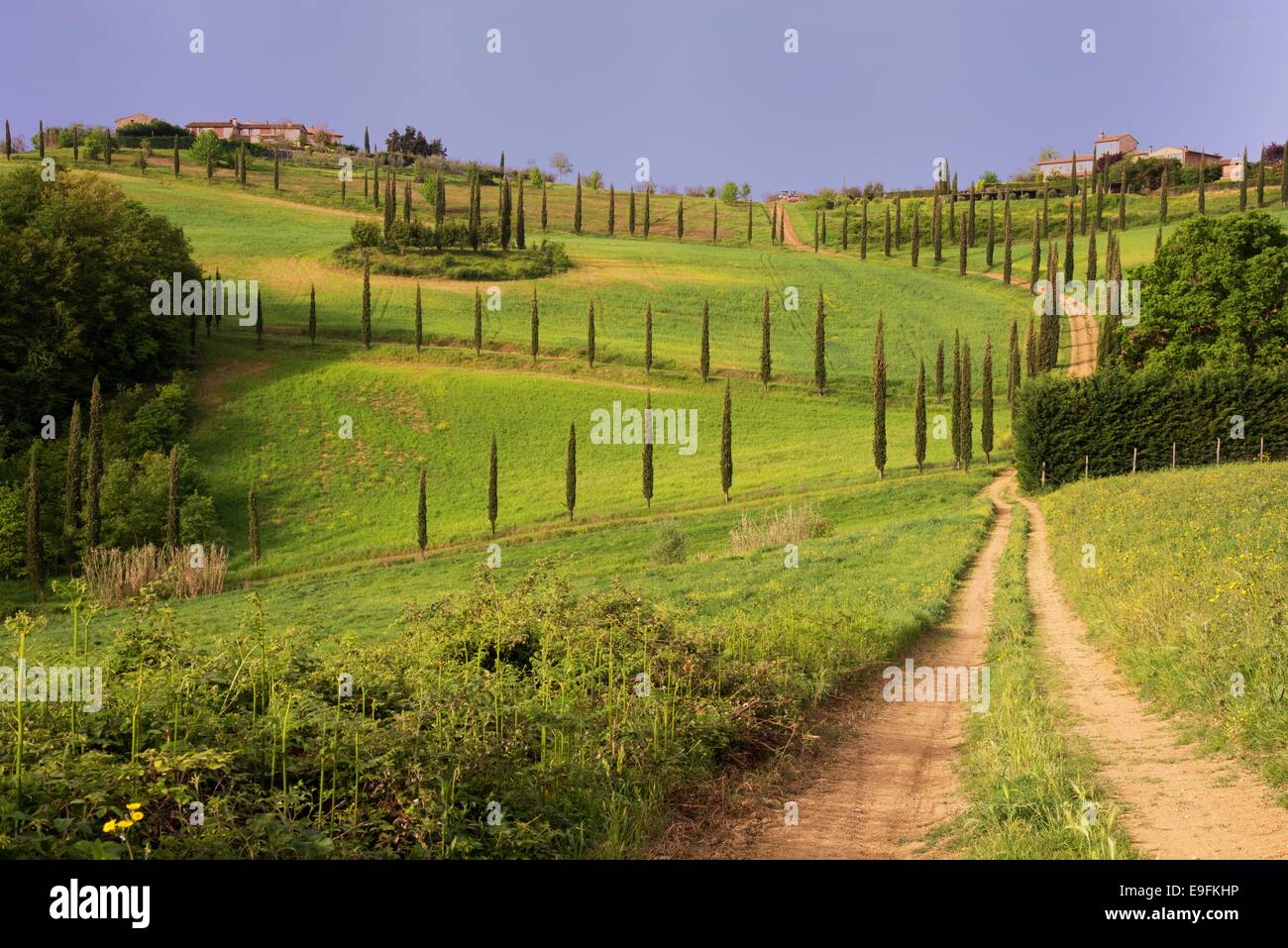 Tuscan horizon hi-res stock photography and images - Alamy