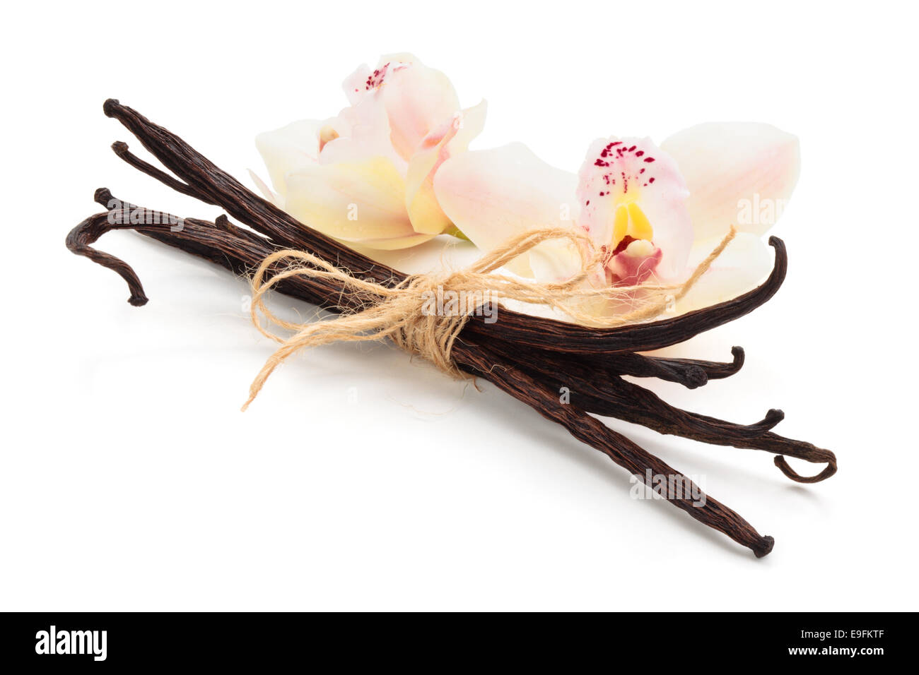 Star pods Cut Out Stock Images & Pictures - Alamy