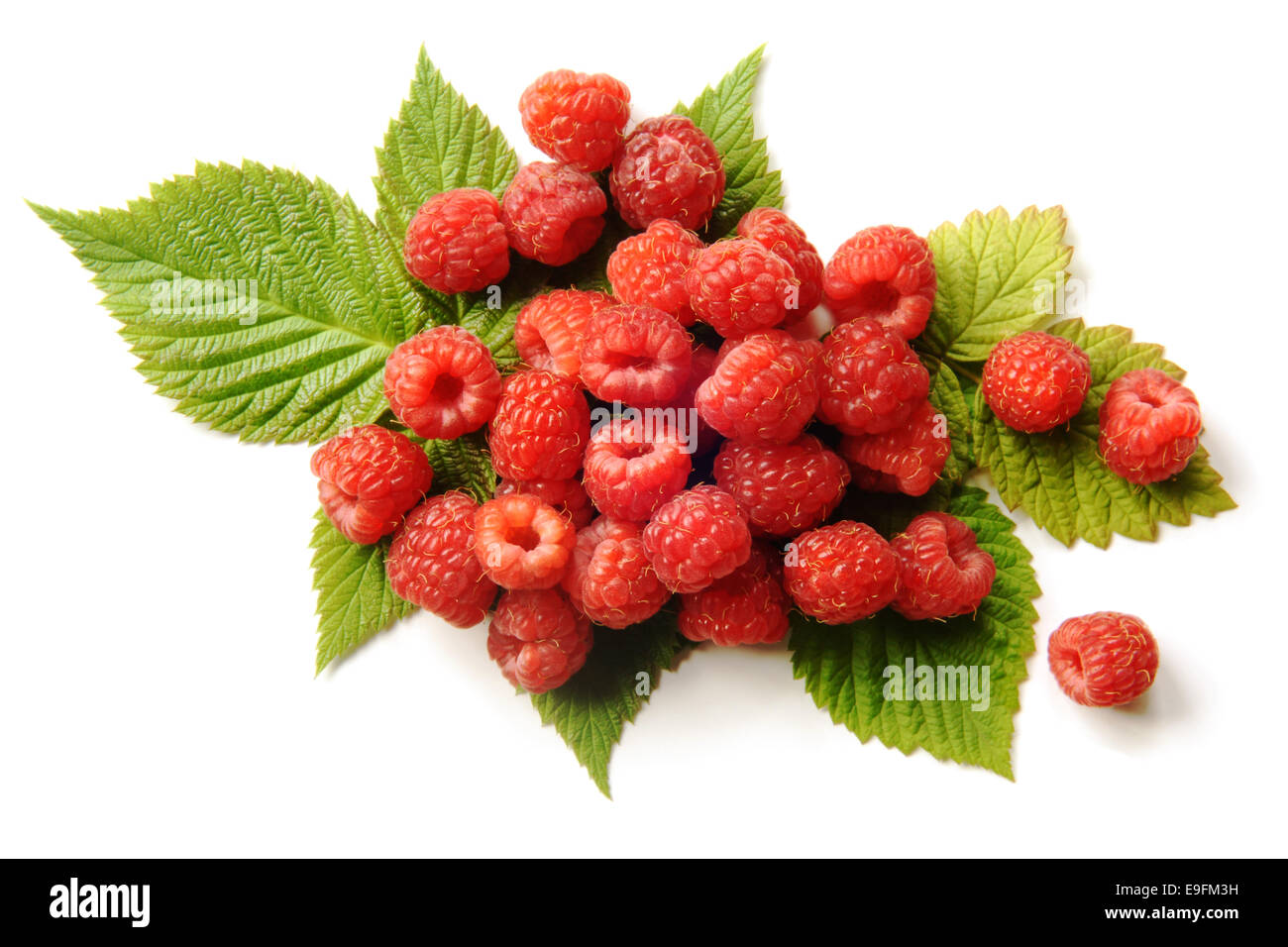 Raspberries with leaf leaves hi-res stock photography and images - Alamy