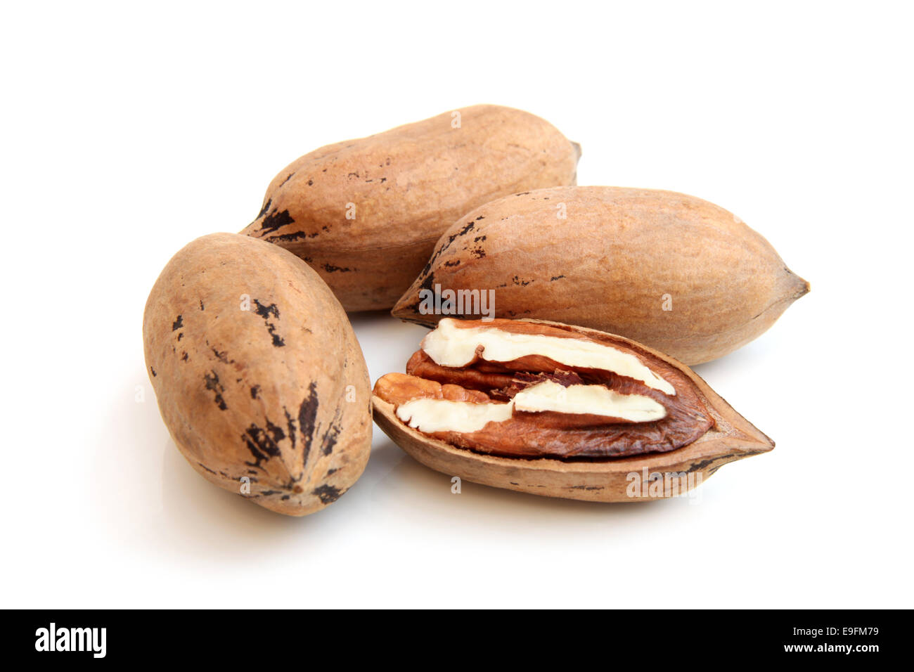 Pecan nut shell open hi-res stock photography and images - Alamy