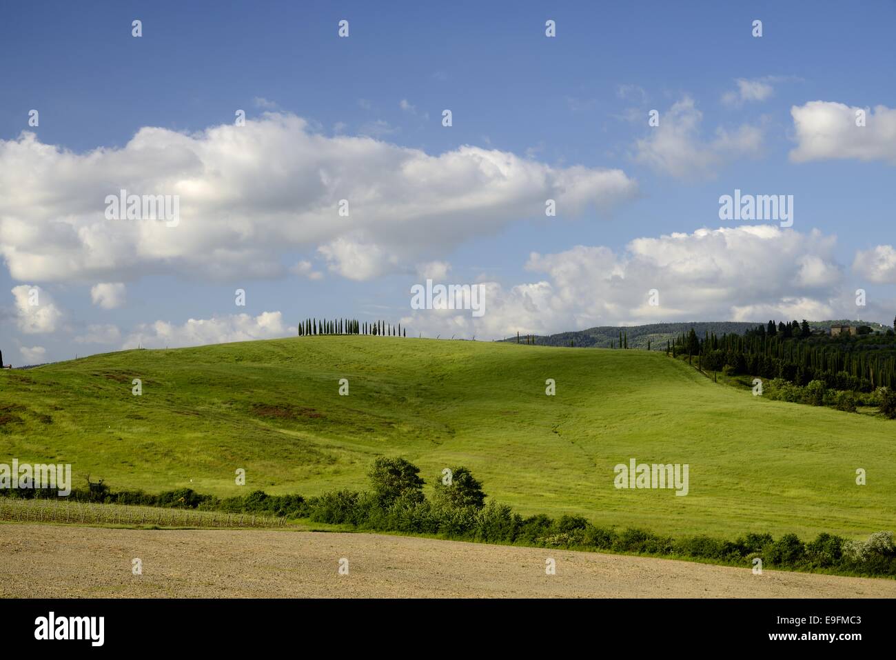 Hills in spring Stock Photo - Alamy
