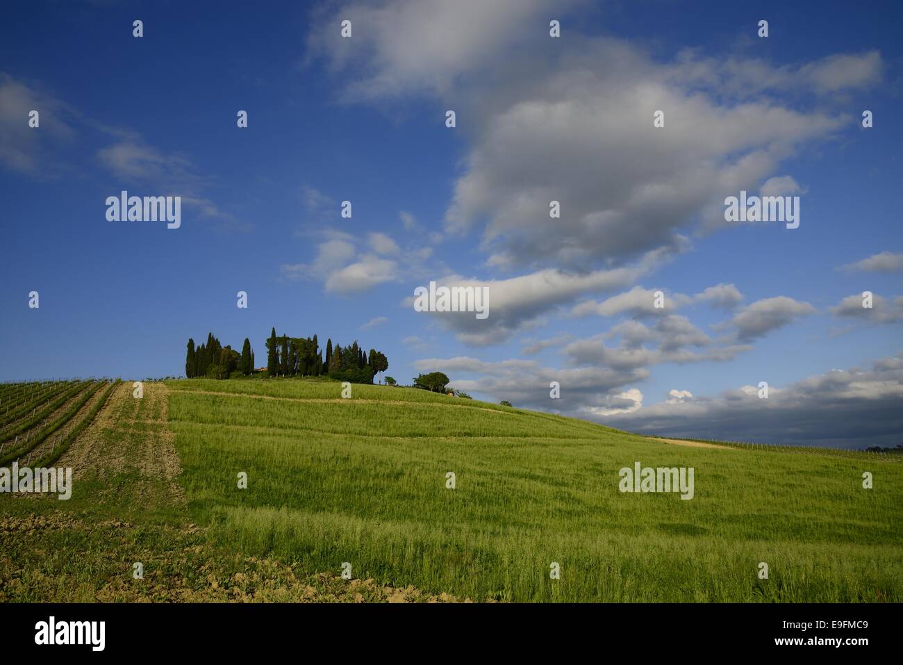 Spring in rome hi-res stock photography and images - Alamy
