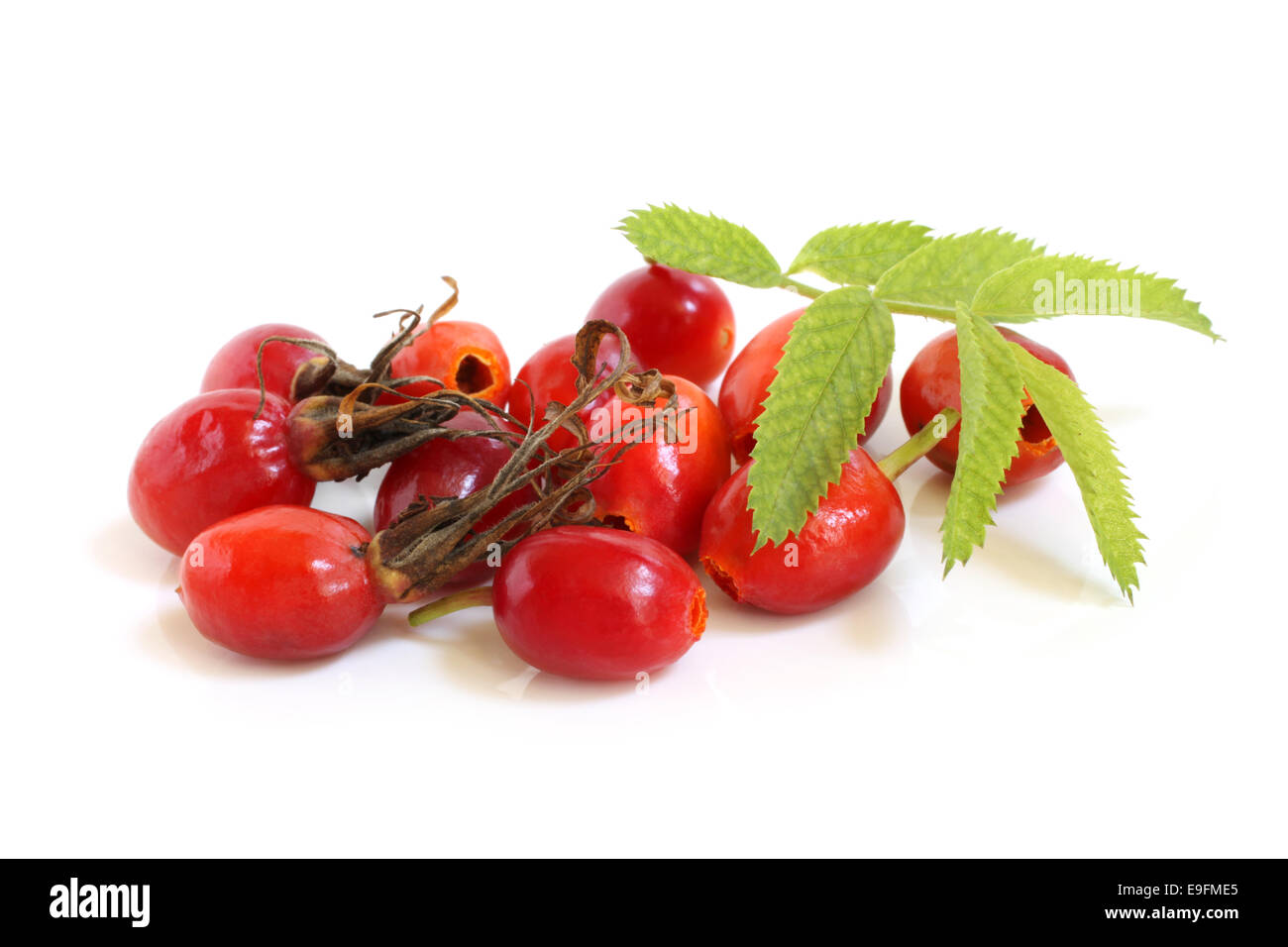 Rose hips rose Cut Out Stock Images & Pictures - Alamy